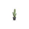 Latitude Run® Artificial Cactus Fake Cacti 16" Potted Cactus Plants for ...