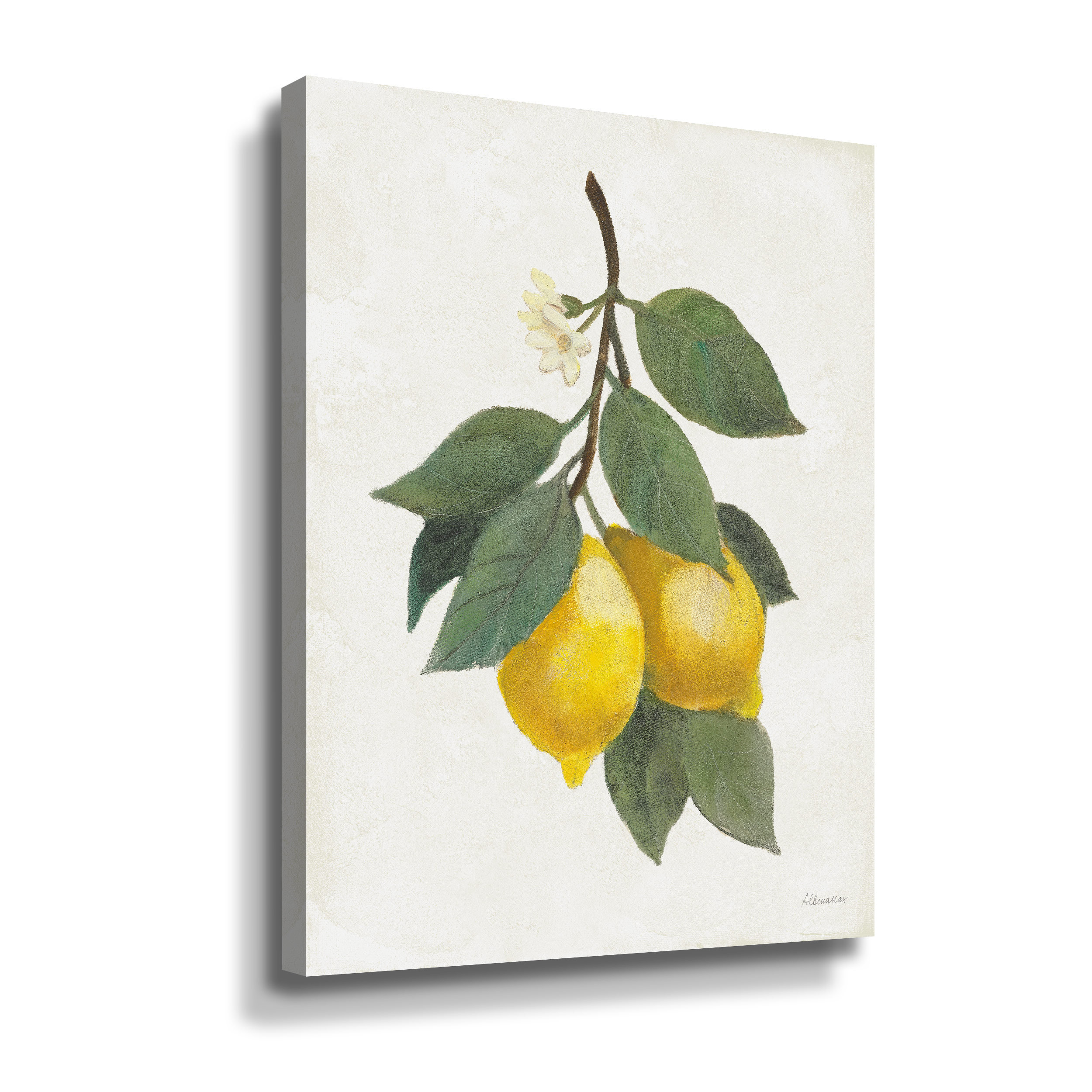 Rosalind Wheeler 2hri315a_Lemon Branch II Gallery Wrapped | Wayfair