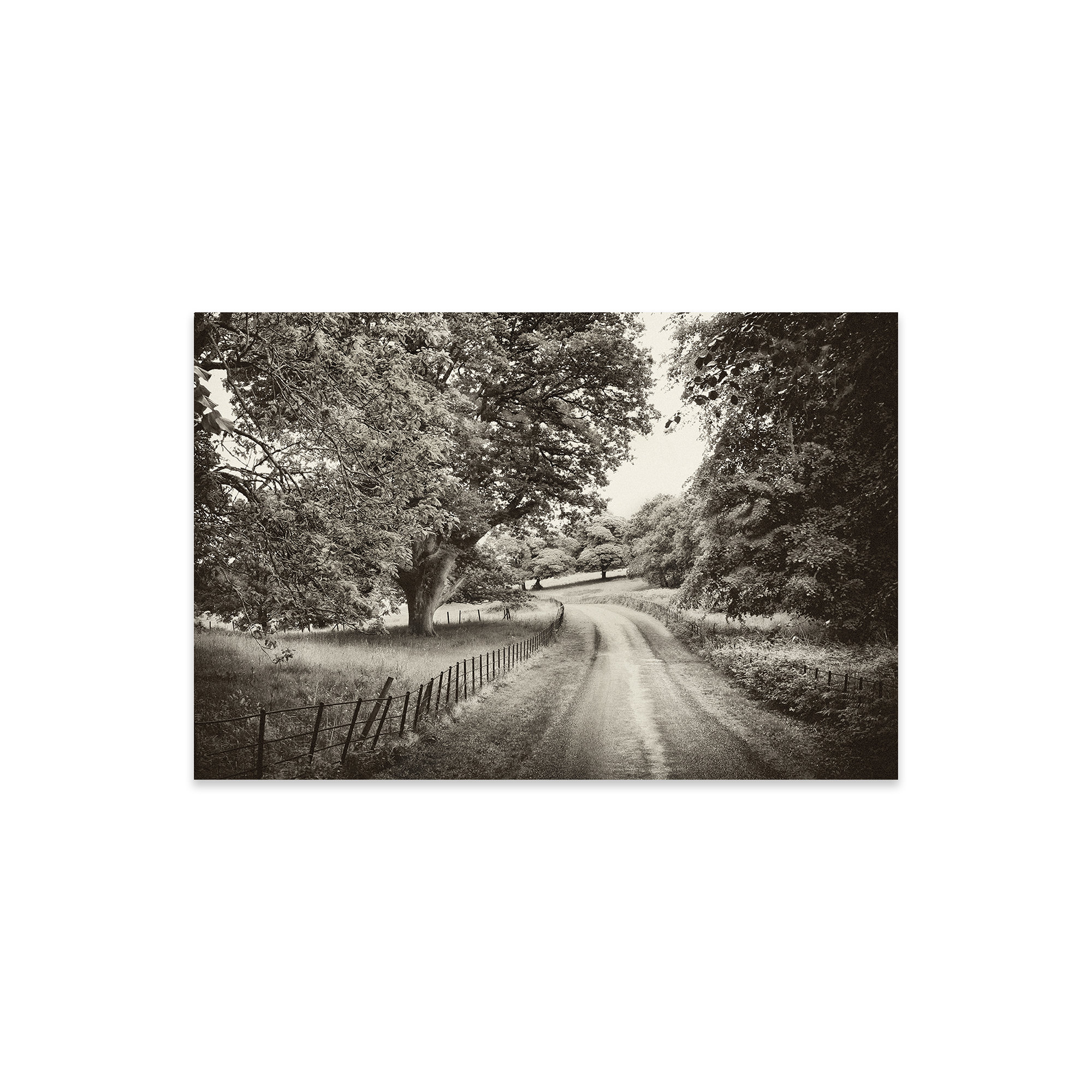 Millwood Pines Country Roads by Janel Pahl Painting | Wayfair