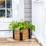 Vita Mezza Wood Planter Box & Reviews - Wayfair Canada
