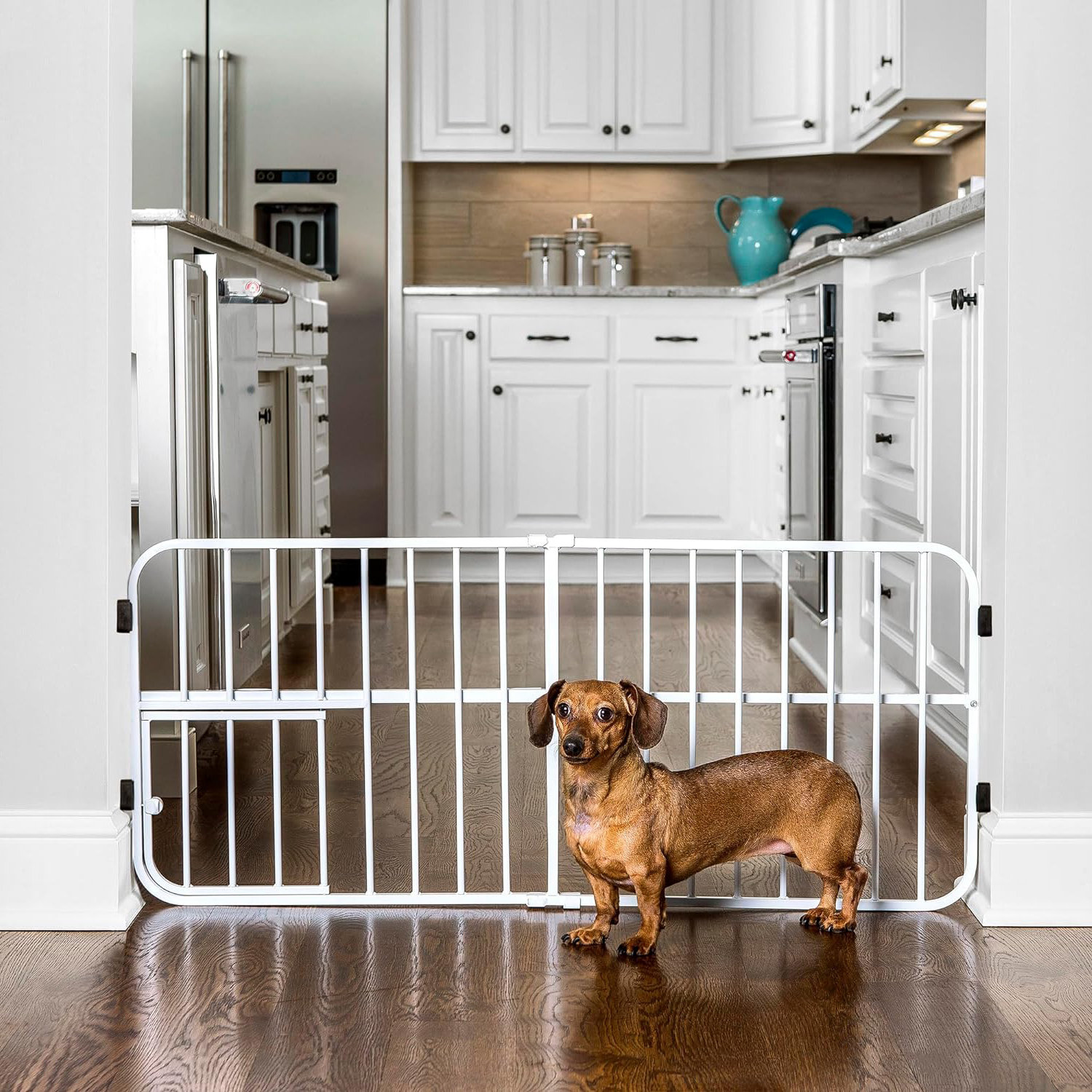 Tucker Murphy Pet™ Expandable Pet Gate, White | Wayfair