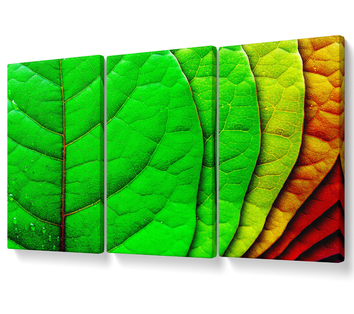 Ebern Designs Colour of Leaves - 3 Piece Wrapped Canvas Graphic Art ...