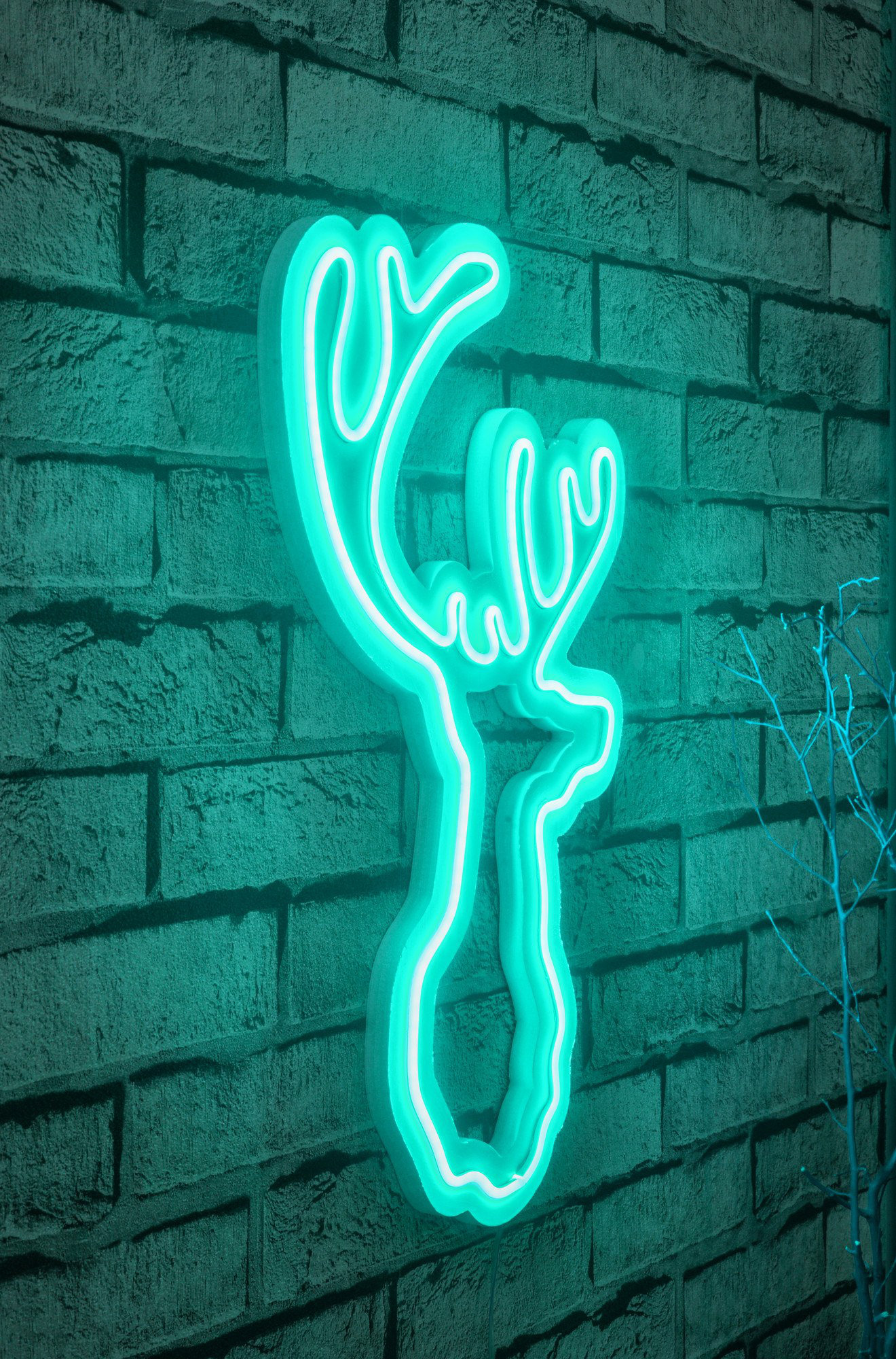 Ivy Bronx Decorative Plastic Led Lighting - Wayfair Canada