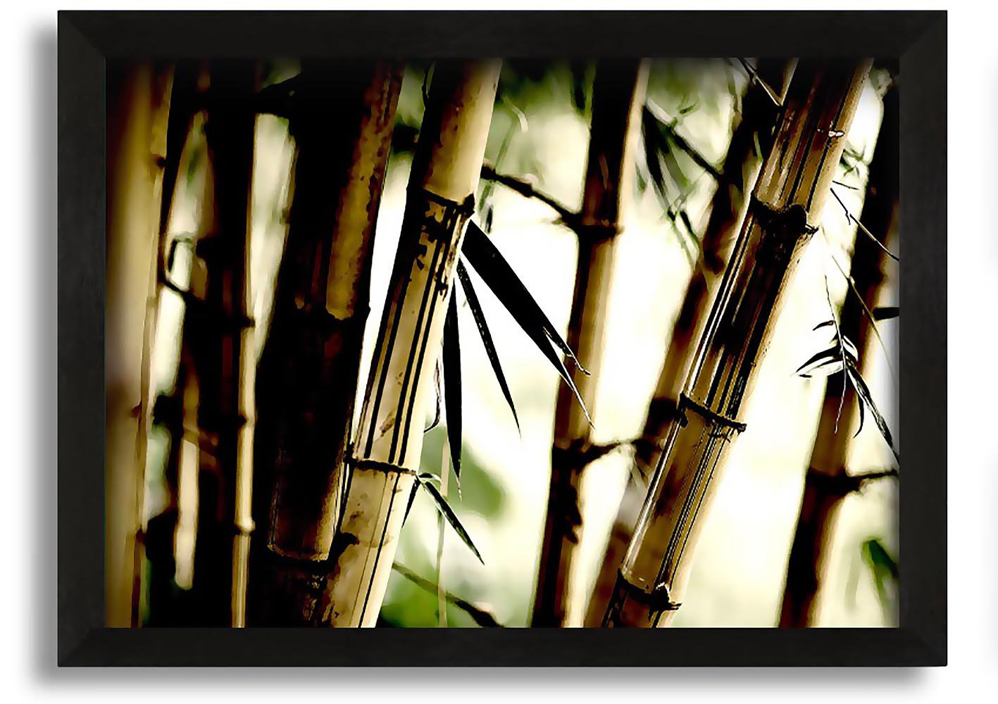 Ebern Designs Bamboo Stalks Framed Print | Wayfair.co.uk