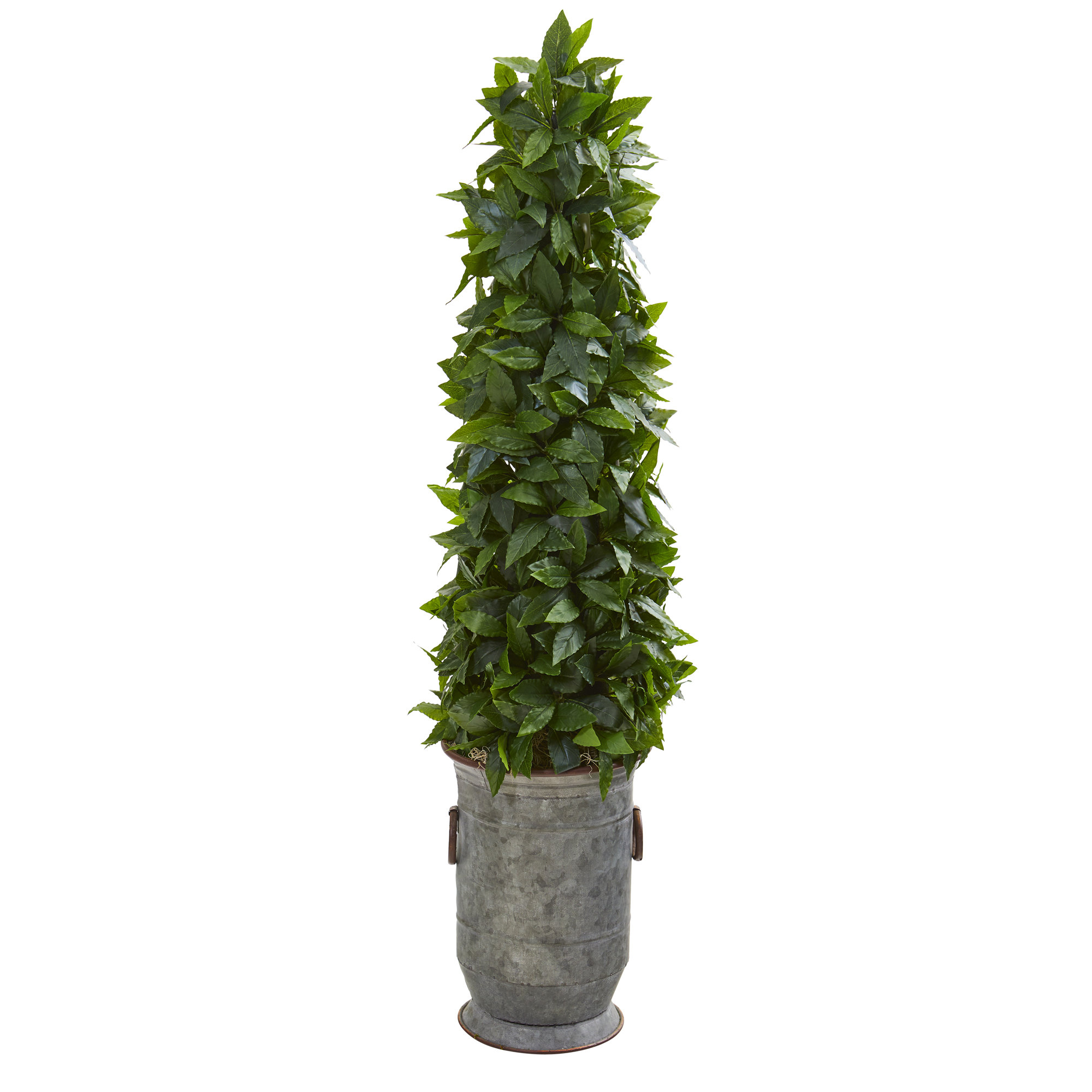 House of Hampton 27" Artificial Sweet Bay Topiary in Planter - Wayfair ...
