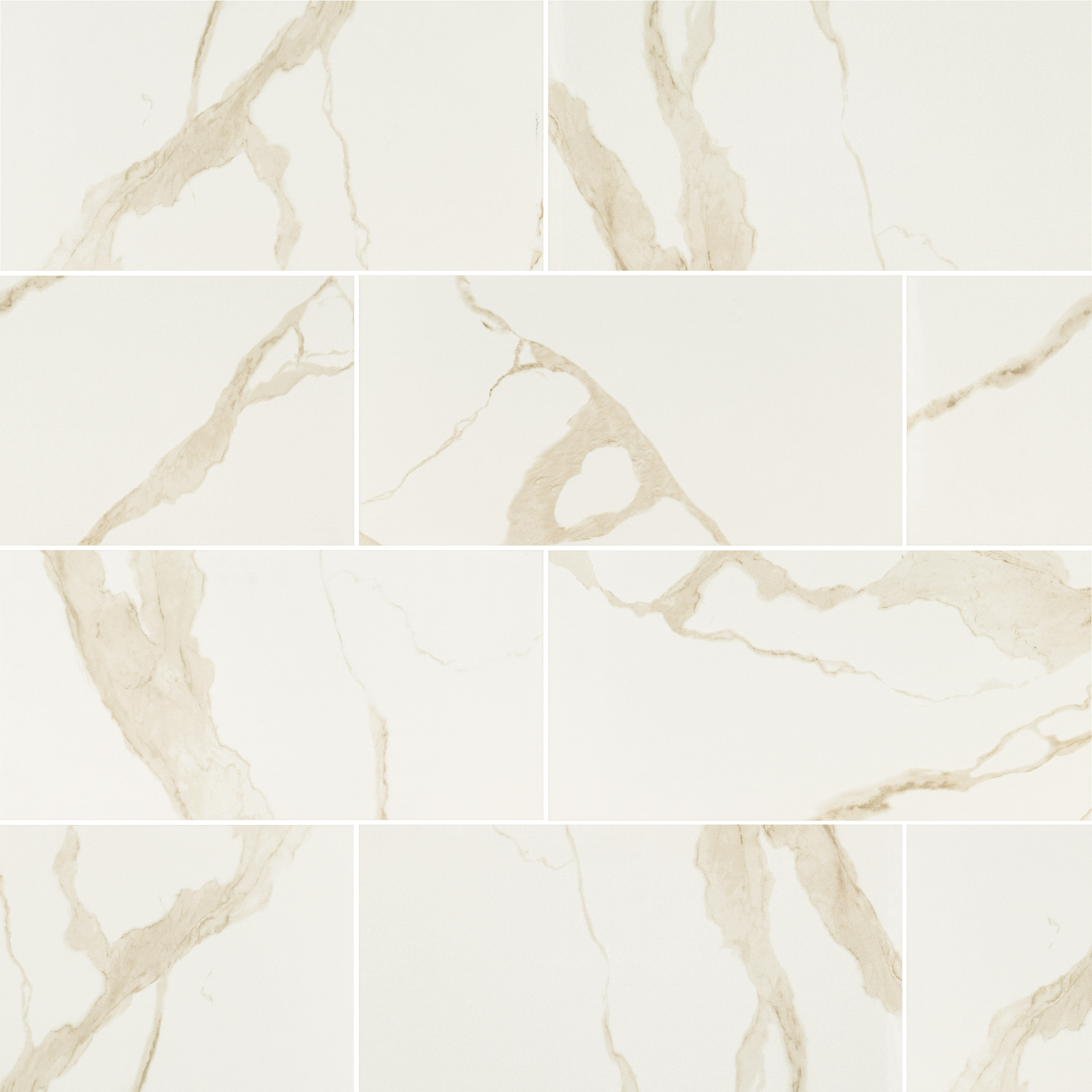MSI Eden Calacatta 12" x 24" Floor and Wall Tile & Reviews | Wayfair