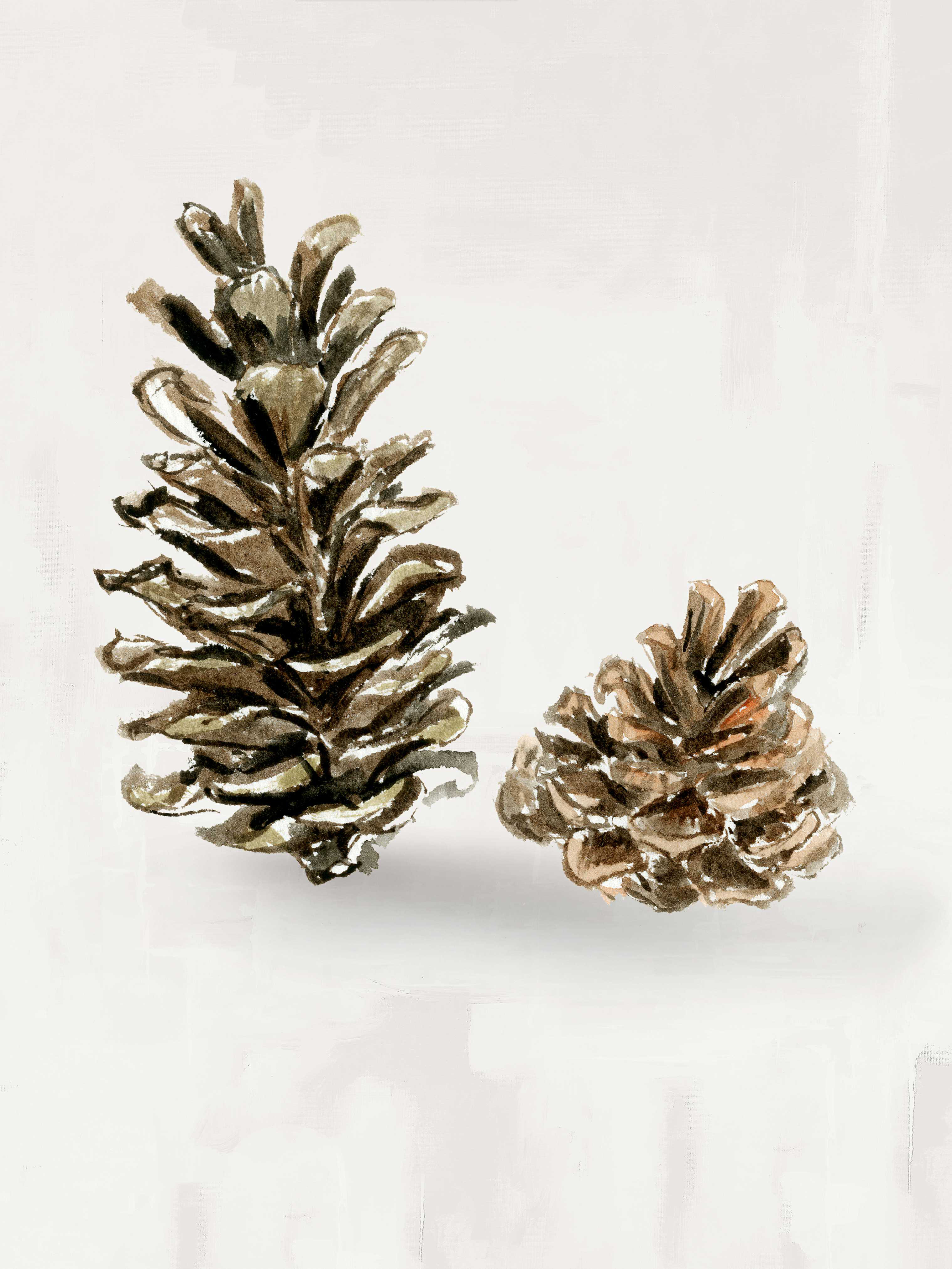 Millwood Pines Two Pine Cone Simple - Wayfair Canada