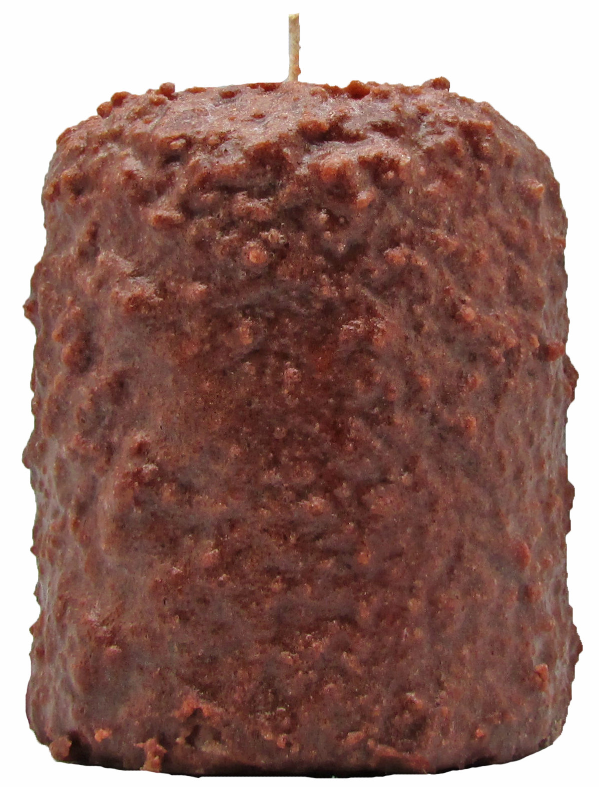 Star Hollow Candle Company Cinnamon Sticks Scented Novelty Candle ...