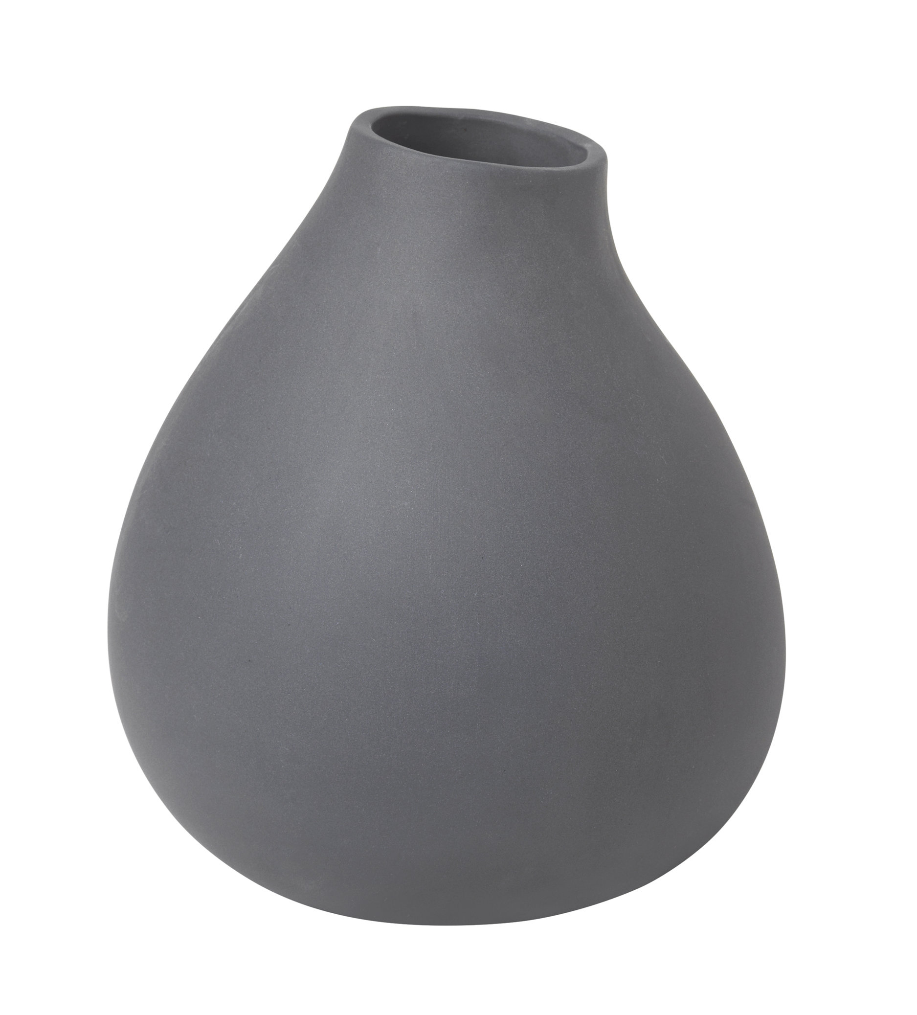 Blomus NONA Porcelain Table Vase & Reviews | AllModern