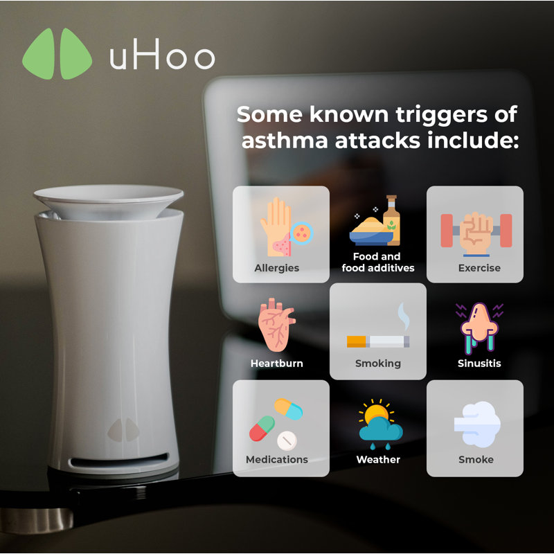 uHoo Smart Indoor Air Quality Sensor Accessories | Wayfair