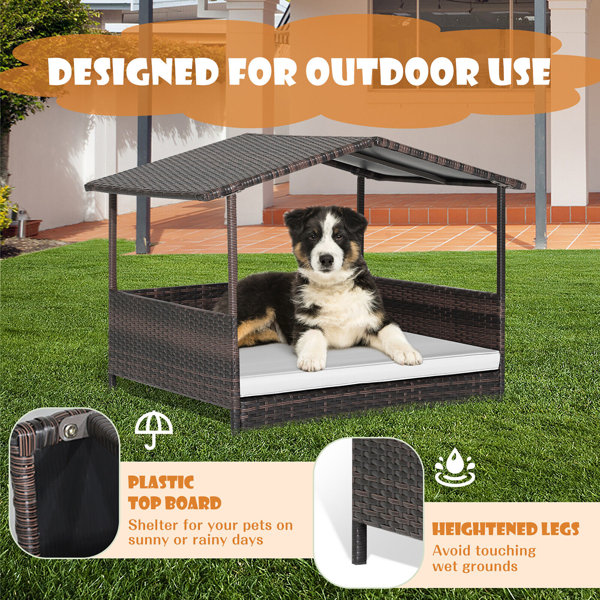 Archie & Oscar™ Edmont Portable Dog House | Wayfair