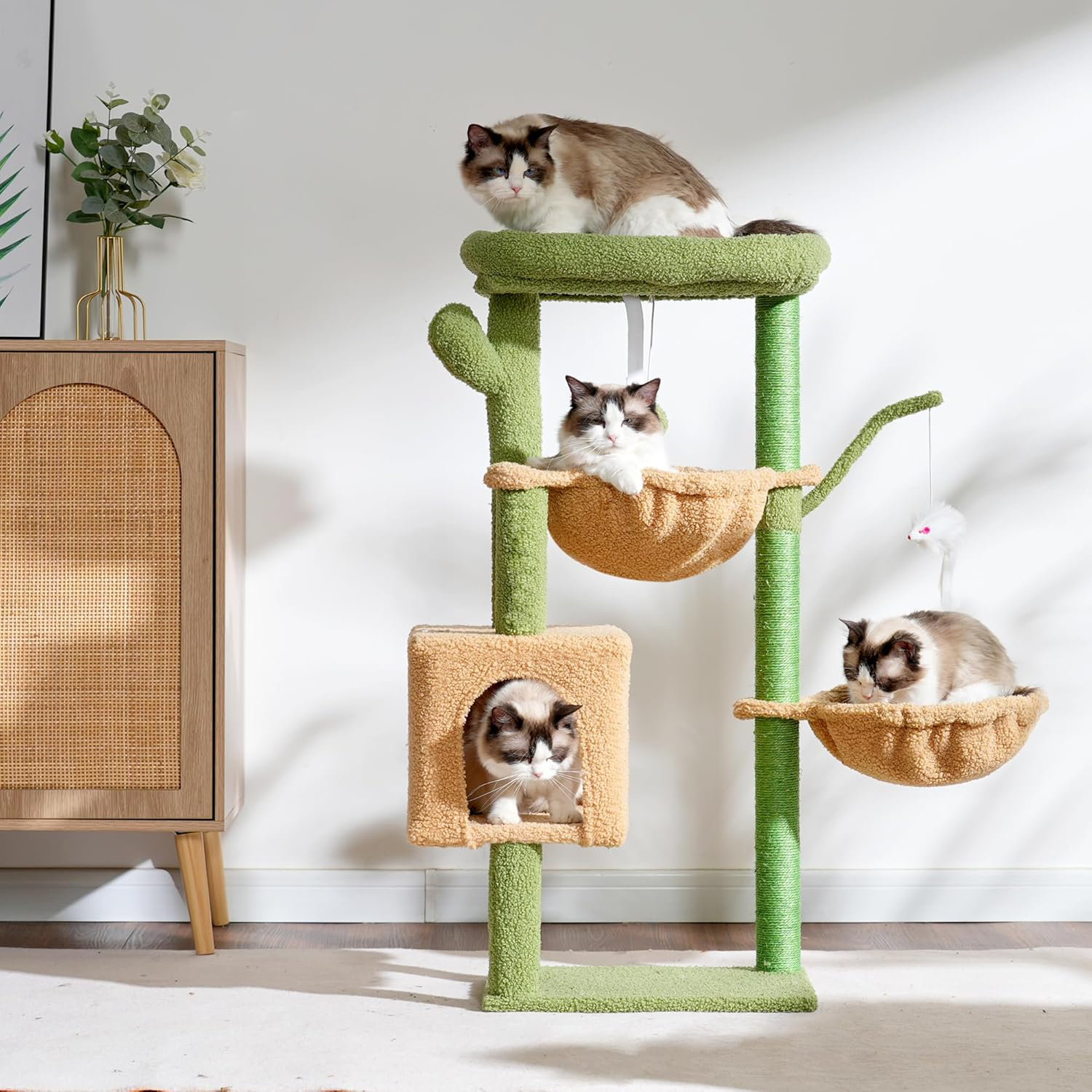 Archie & Oscar™ Rolla Cat Tree | Wayfair