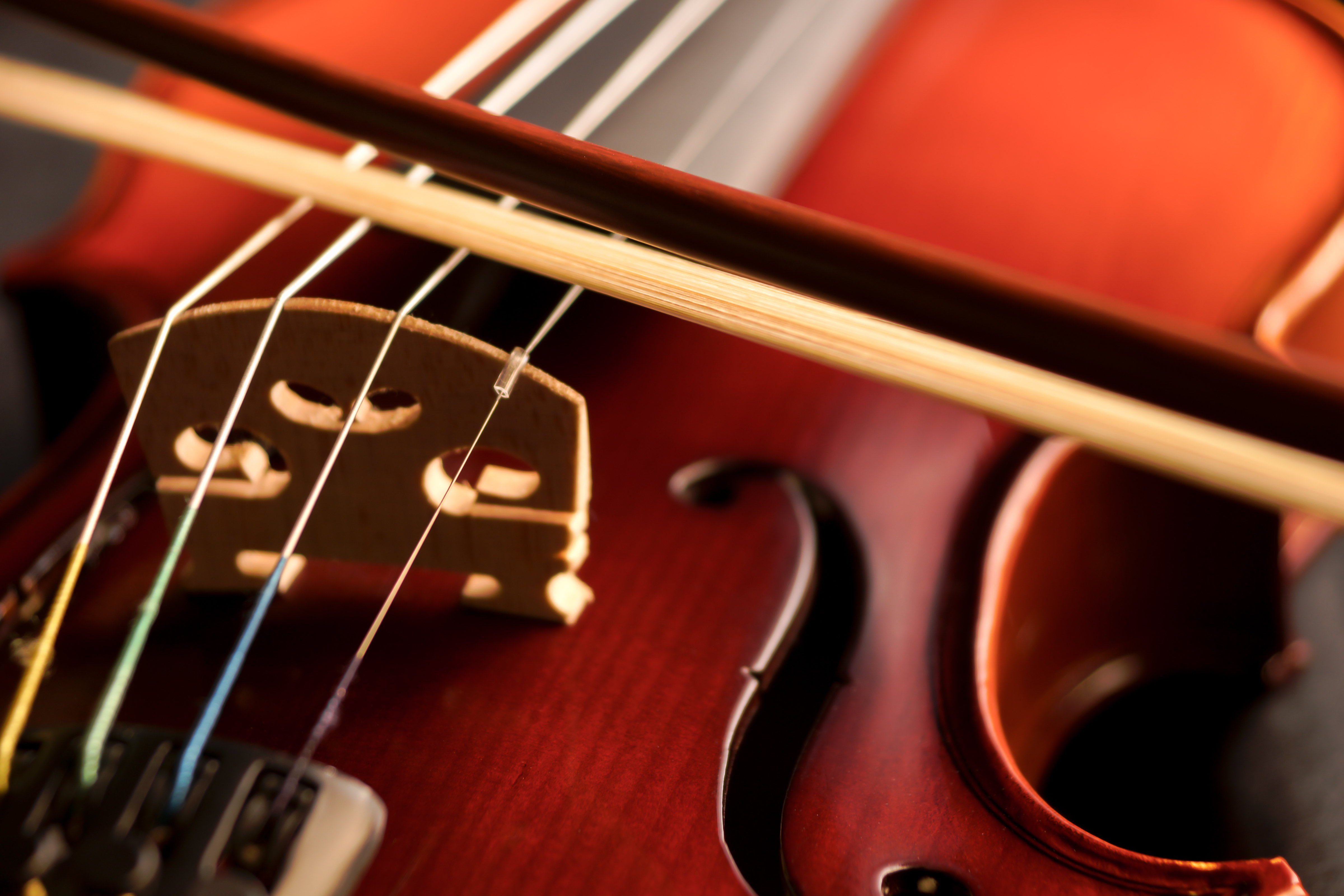 Ebern Designs Violin by Martinplkang | Wayfair