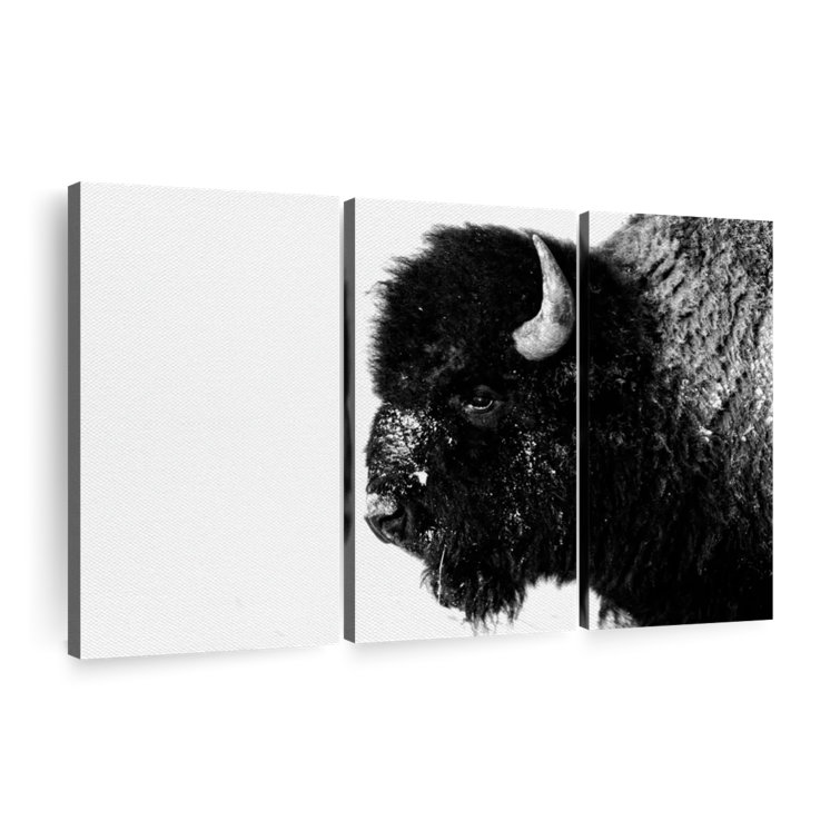 Elephant Stock " Black Bison " 3 - Pieces | Wayfair