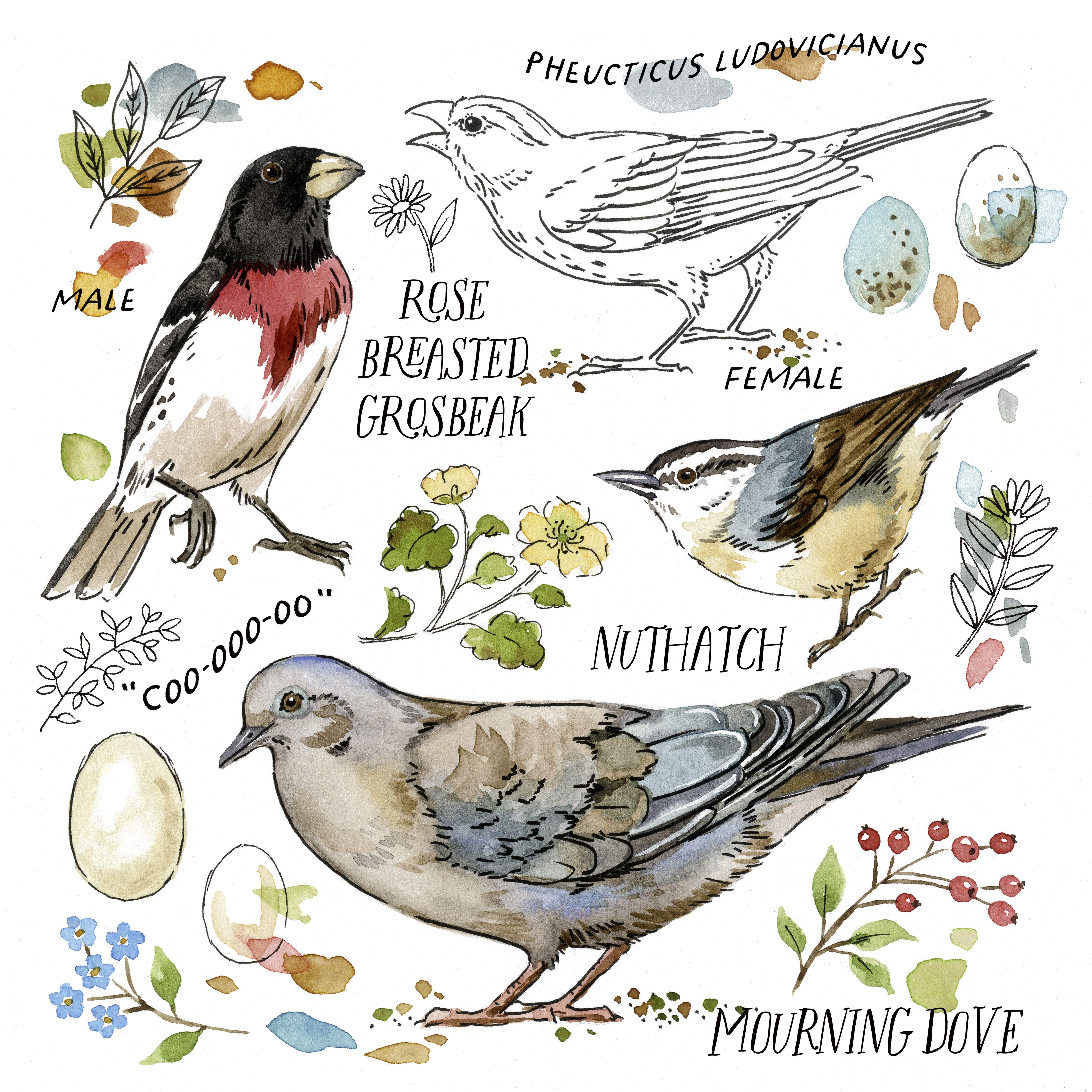 17 Stories Tasiyah V | Wayfair.co.uk