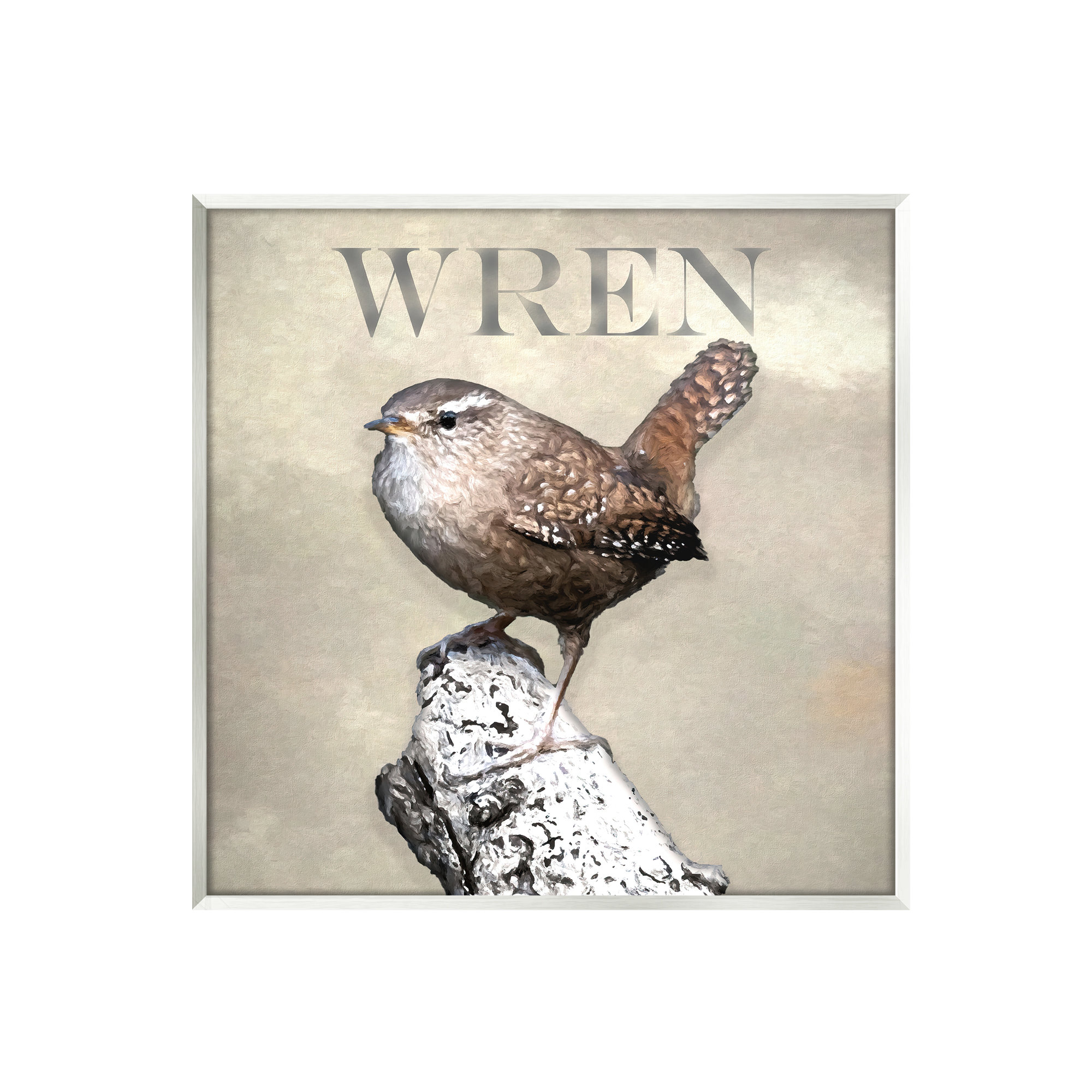 Stupell Industries Wren Bird Standing Casual Nature Breed Typography ...