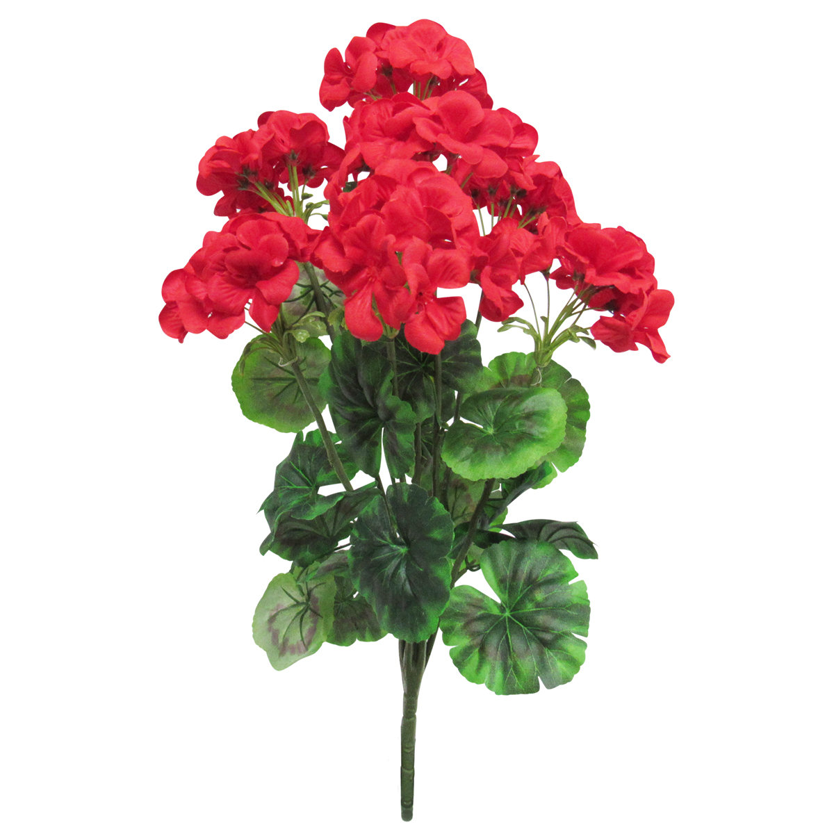 Canora Grey Geranium Flower Bush & Reviews | Wayfair
