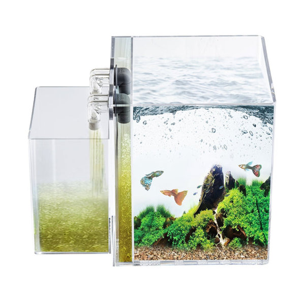 Archie & Oscar™ 3 Gallon Cube Self-cleaning Aquariumkit | Lid ...