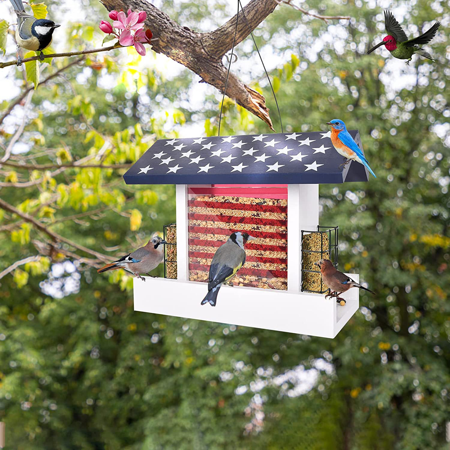 Latitude Run® Hopper and Suet Bird Feeder | Wayfair