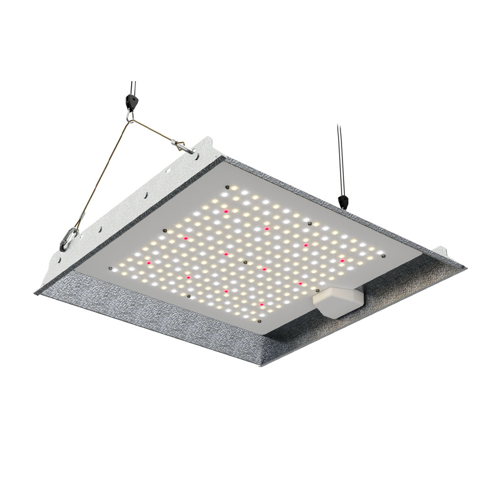 BLUME LED HYDROPONICS Blume 100-Watt full spectrum led Grow Light with ...