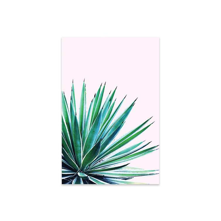 Latitude Run® Agave Love Print On Acrylic Glass | Wayfair