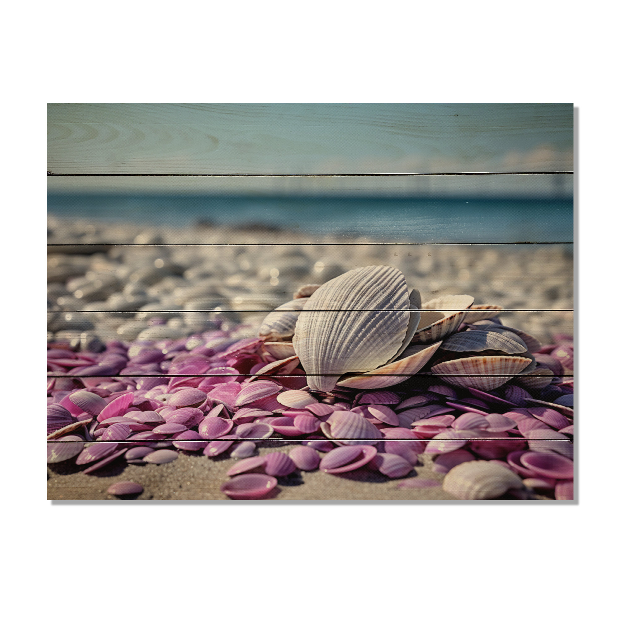 Dovecove Beach Shells And Shadows I On Wood Print | Wayfair