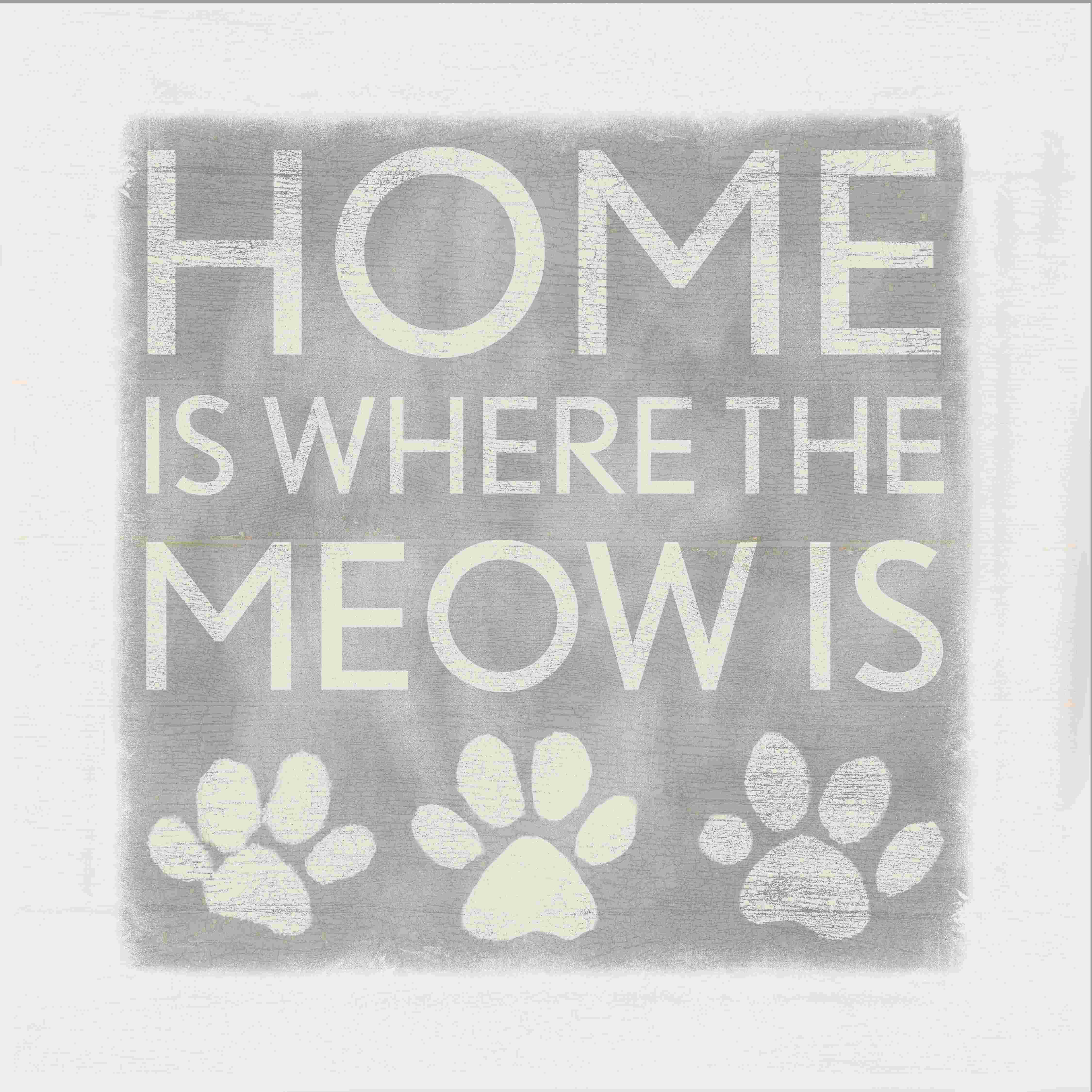 Ebern Designs Home Meow - Wayfair Canada