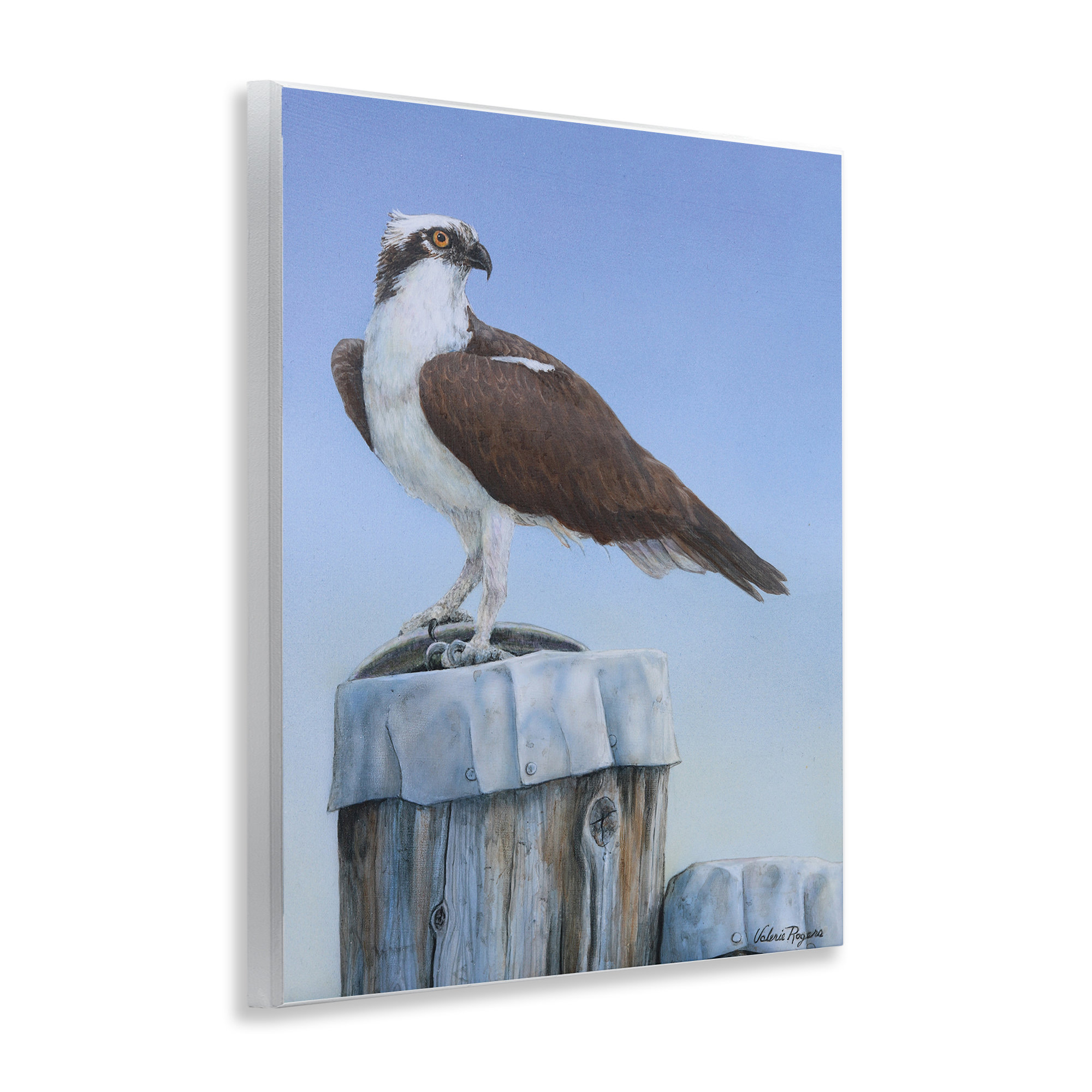 Charlton Home® Harbor Master Bird Perched Wall Plaque Art by Valerie ...