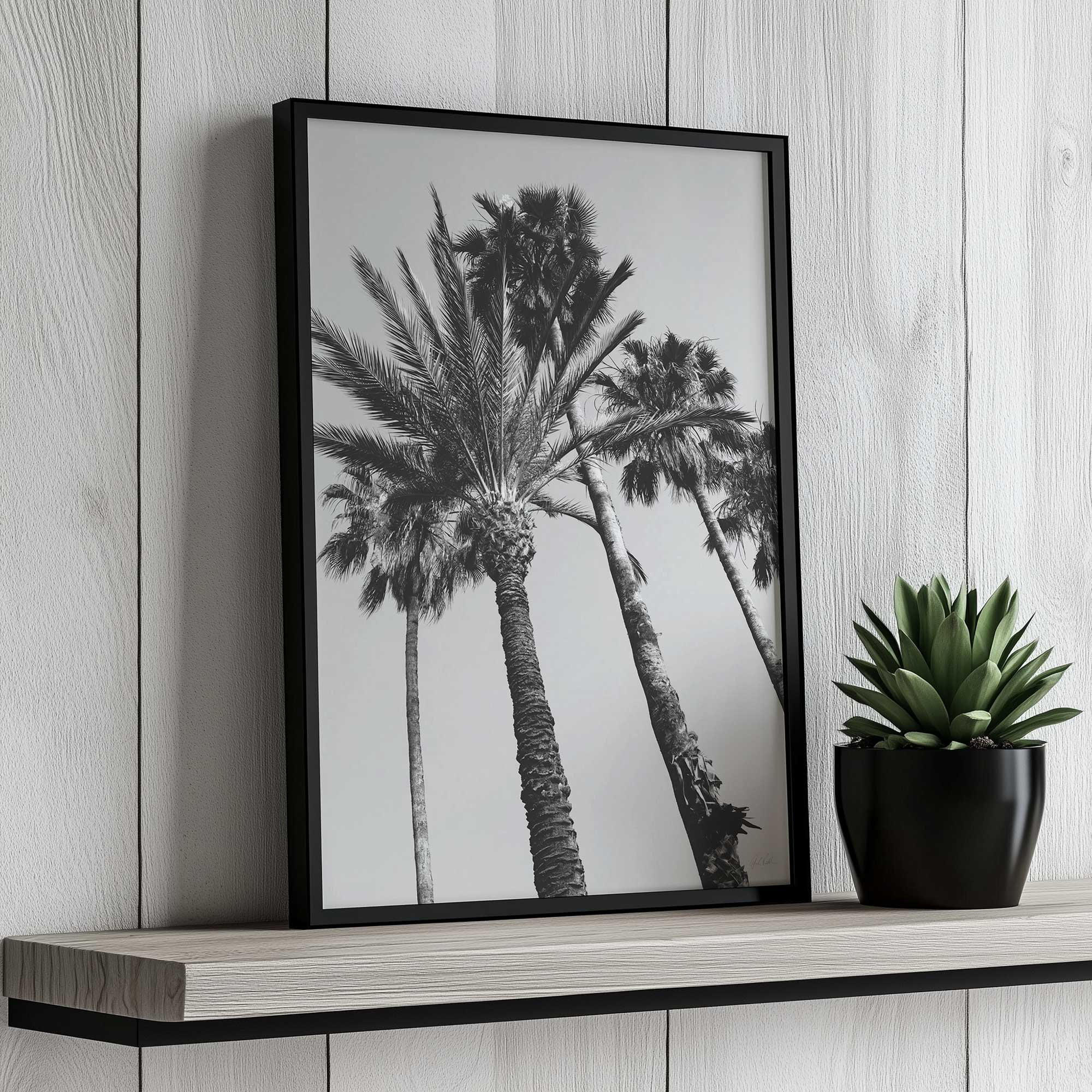 Highland Dunes Pink Palms II BW By Deborah Revell Art Print | Wayfair
