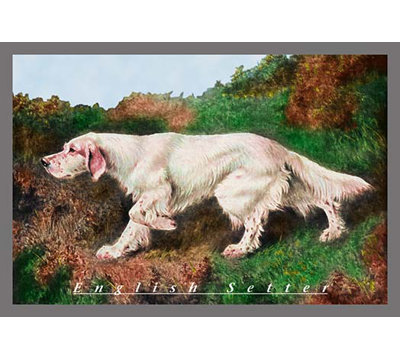Buyenlarge Typical English Setter Print | Wayfair