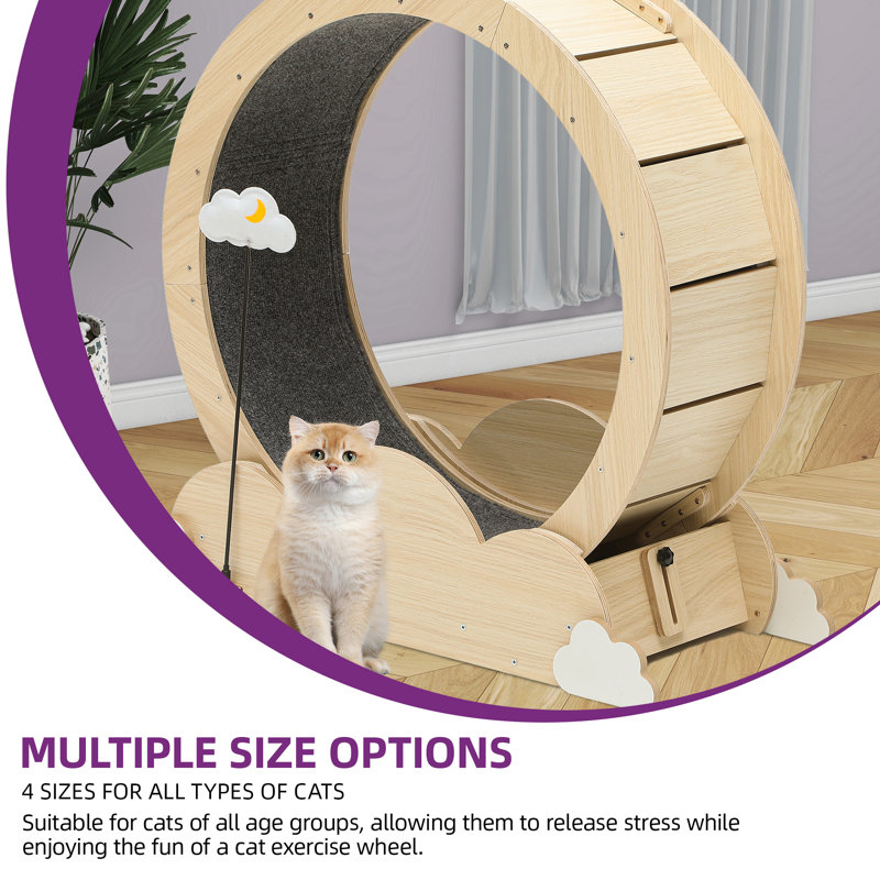 Archie & Oscar™ Indoor Cat Exercise Wheel Cat Treadmill with Locking ...
