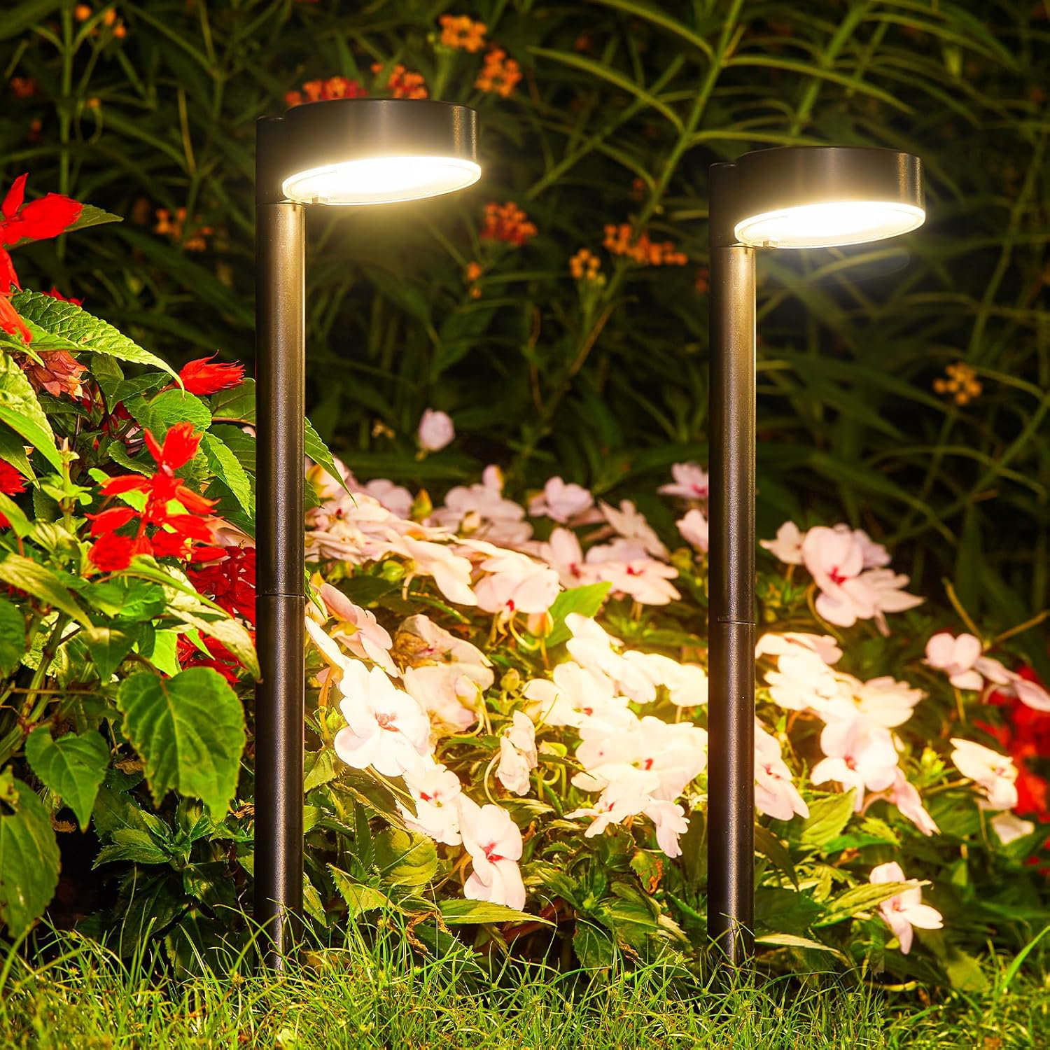 SORMIA 2 Pack Solar Pathway Lights Outdoor | Wayfair
