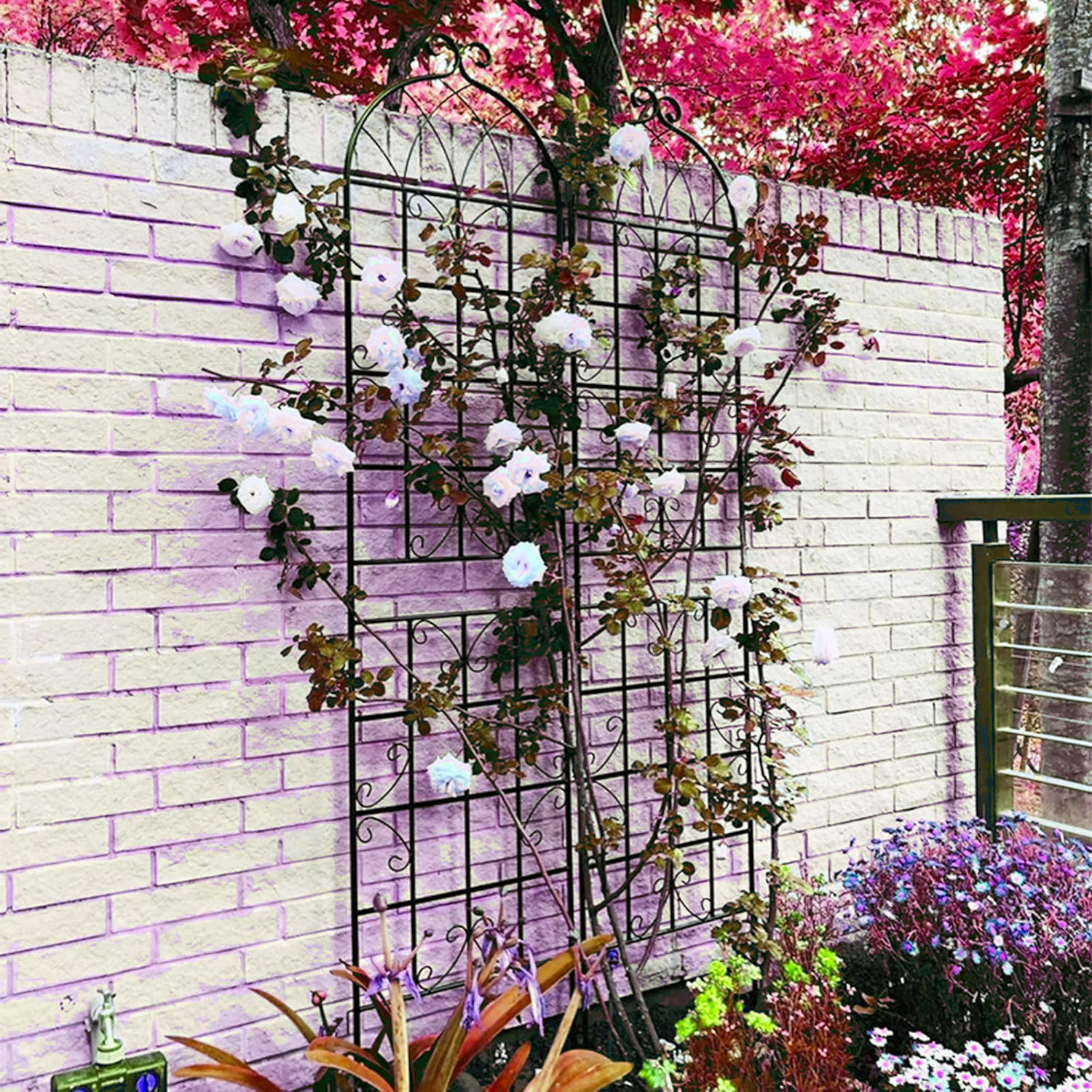 Lark Manor™ Garden Trellis, Outdoor Arched Wire Lattice Panel, Iron ...