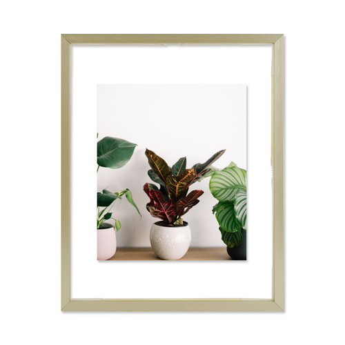 Ebern Designs Donham Metal Picture Float Frame without Mat Wall Hanging ...