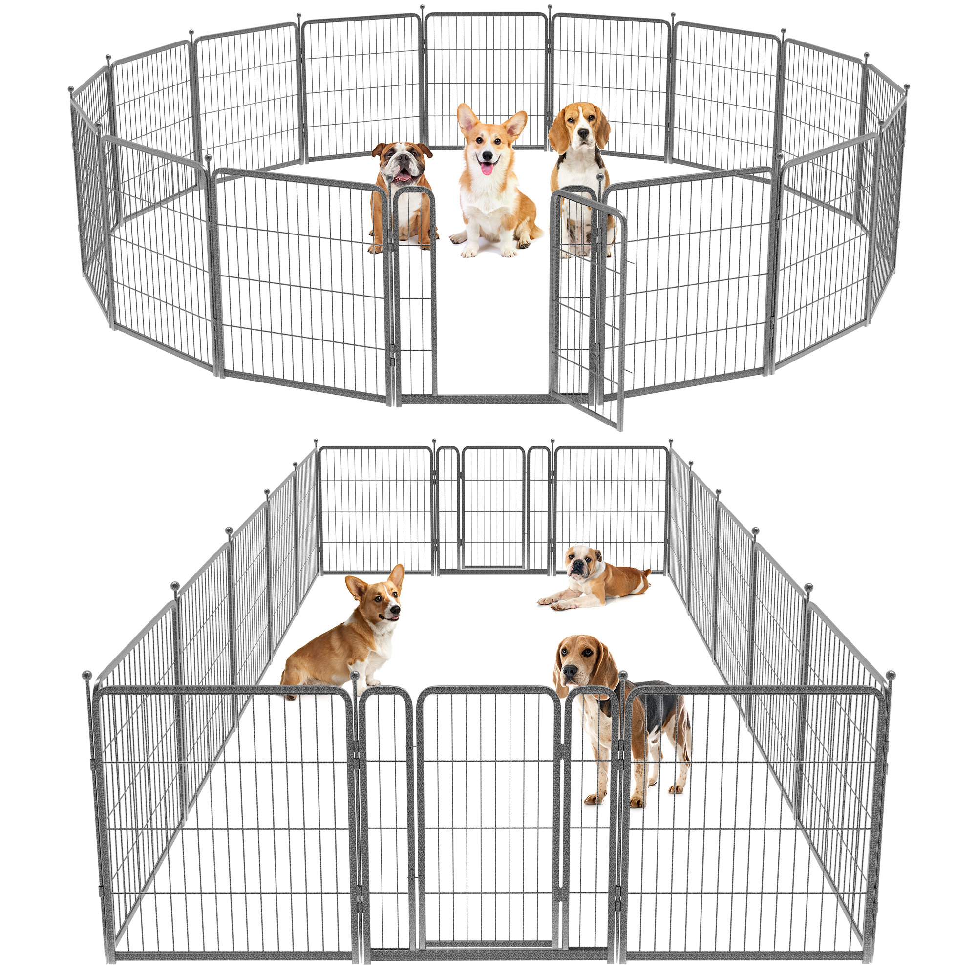 FXW 16 Panel Metal Exercise Pen & Reviews - Wayfair Canada