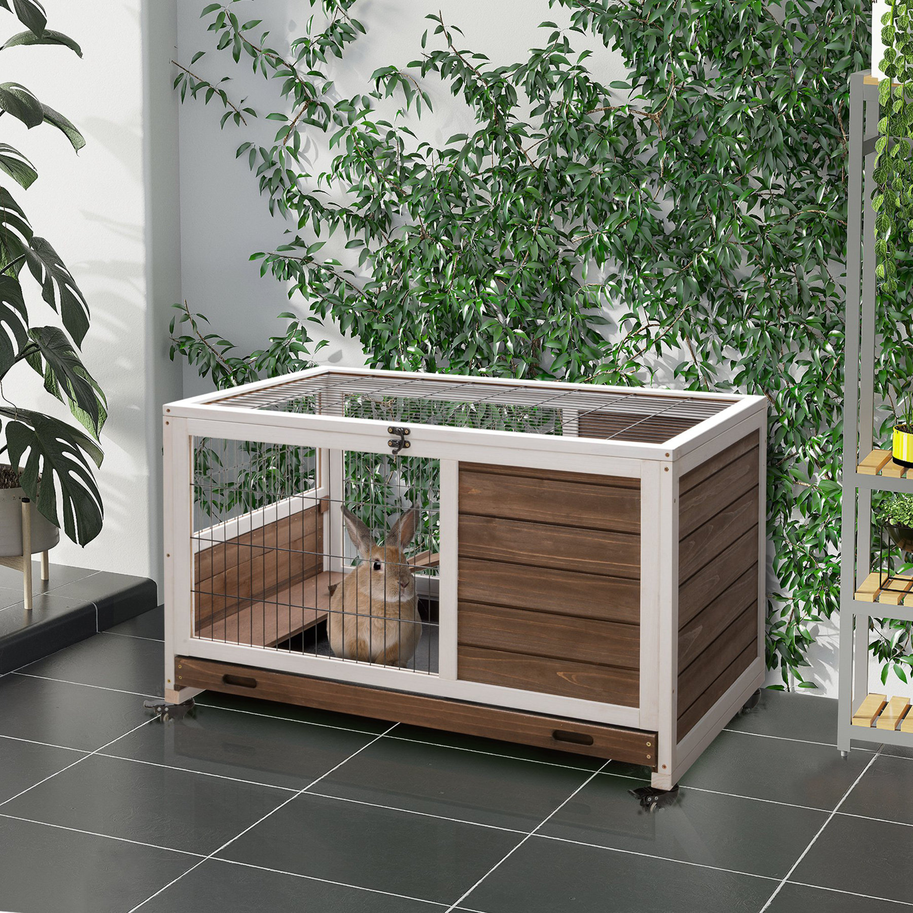 Archie & Oscar™ Wooden Rabbit Hutch Indoor Outdoor, Elevated Bunny Cage ...