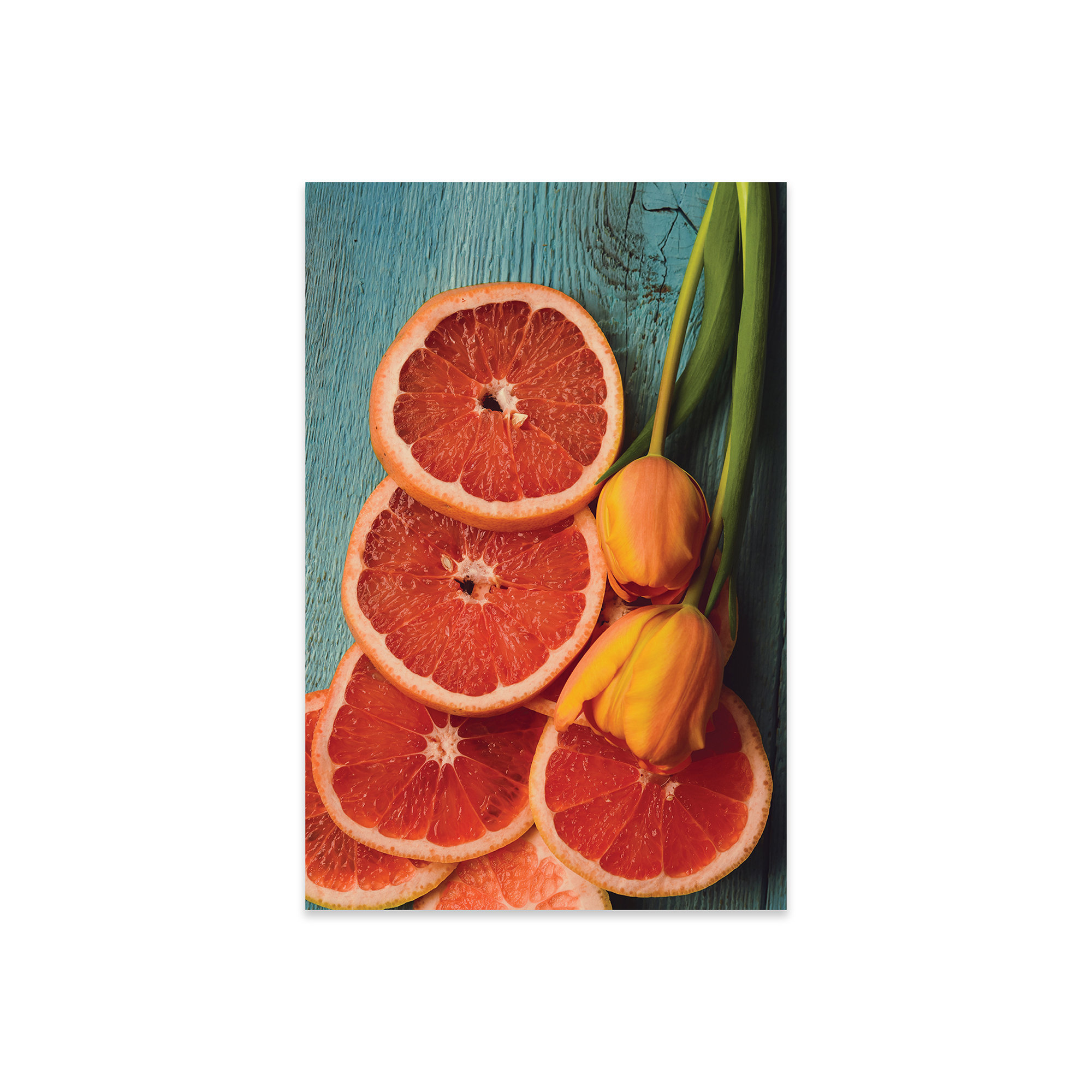 Latitude Run® Hasiba Citrus IV On Plastic/Acrylic by Olivia Joy ...