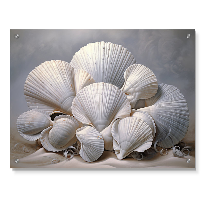 Highland Dunes Monochromatic White Seashells - Seashell Acrylic Wall ...