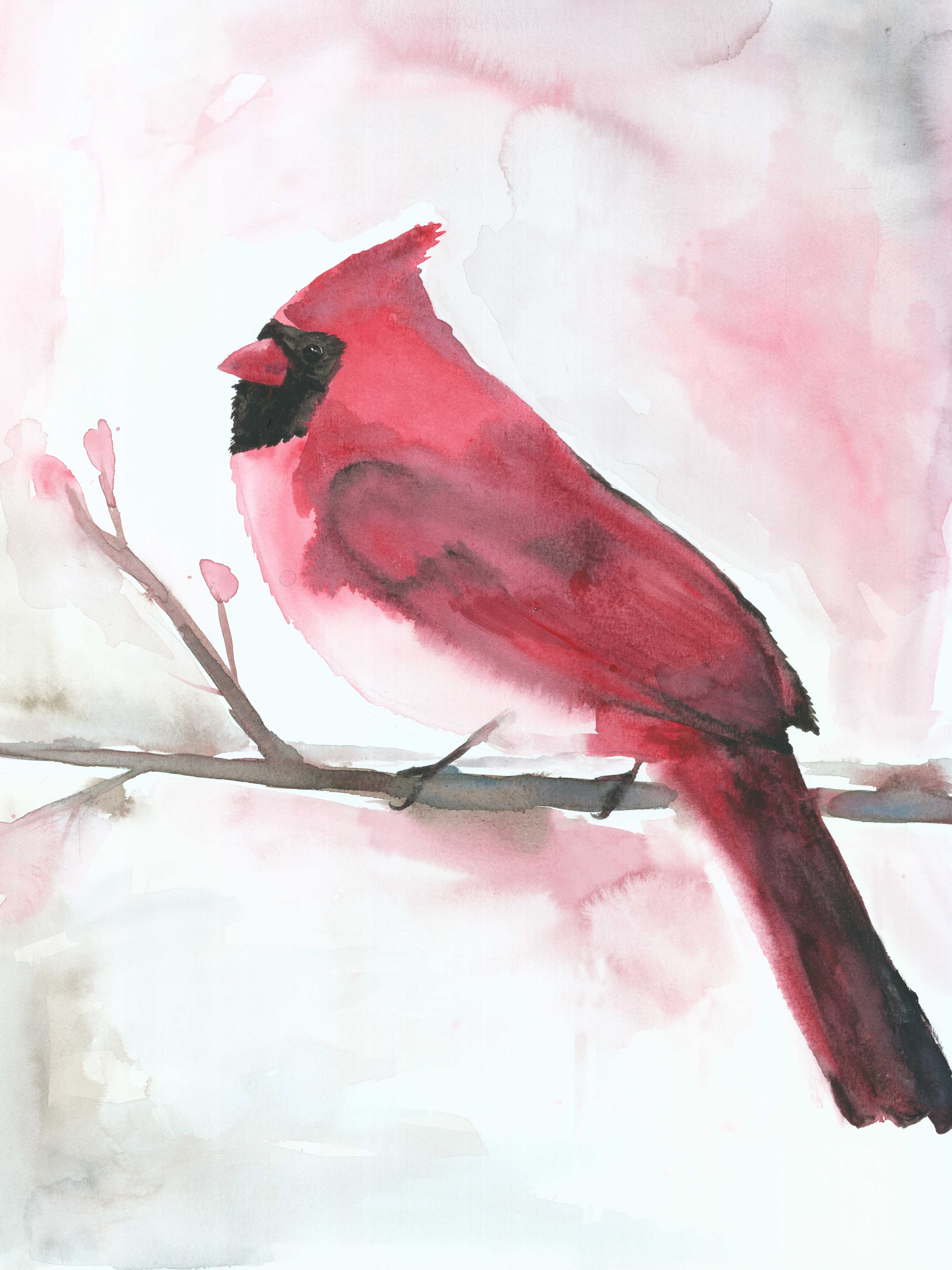 Wildon Home® Watercolor Cardinal - Wayfair Canada