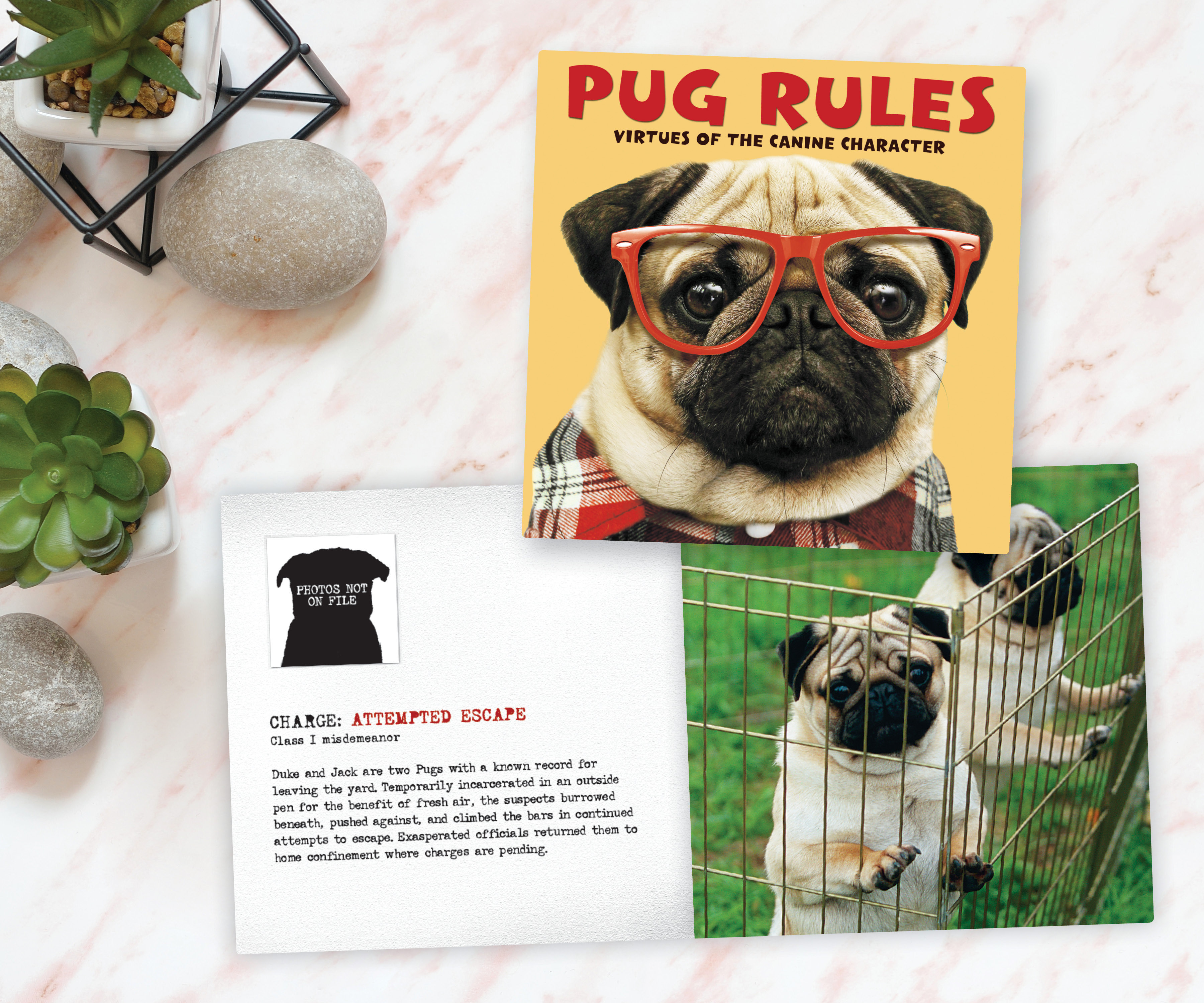 Willow Creek Press Pug Rules Hardcover Book | Wayfair