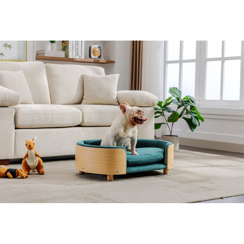 AllModern Inira Solid Wood Dog Sofa & Reviews | Wayfair