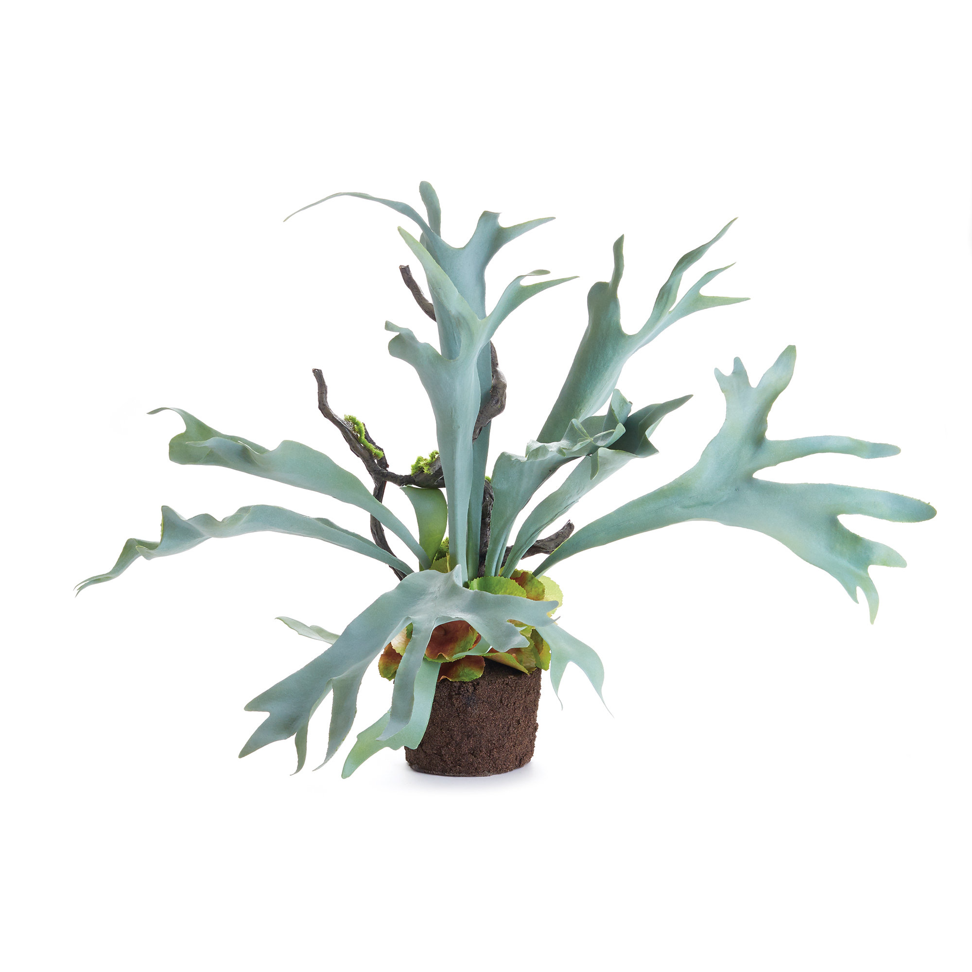 Primrue Cunha Artificial Fern Plant | Joss & Main
