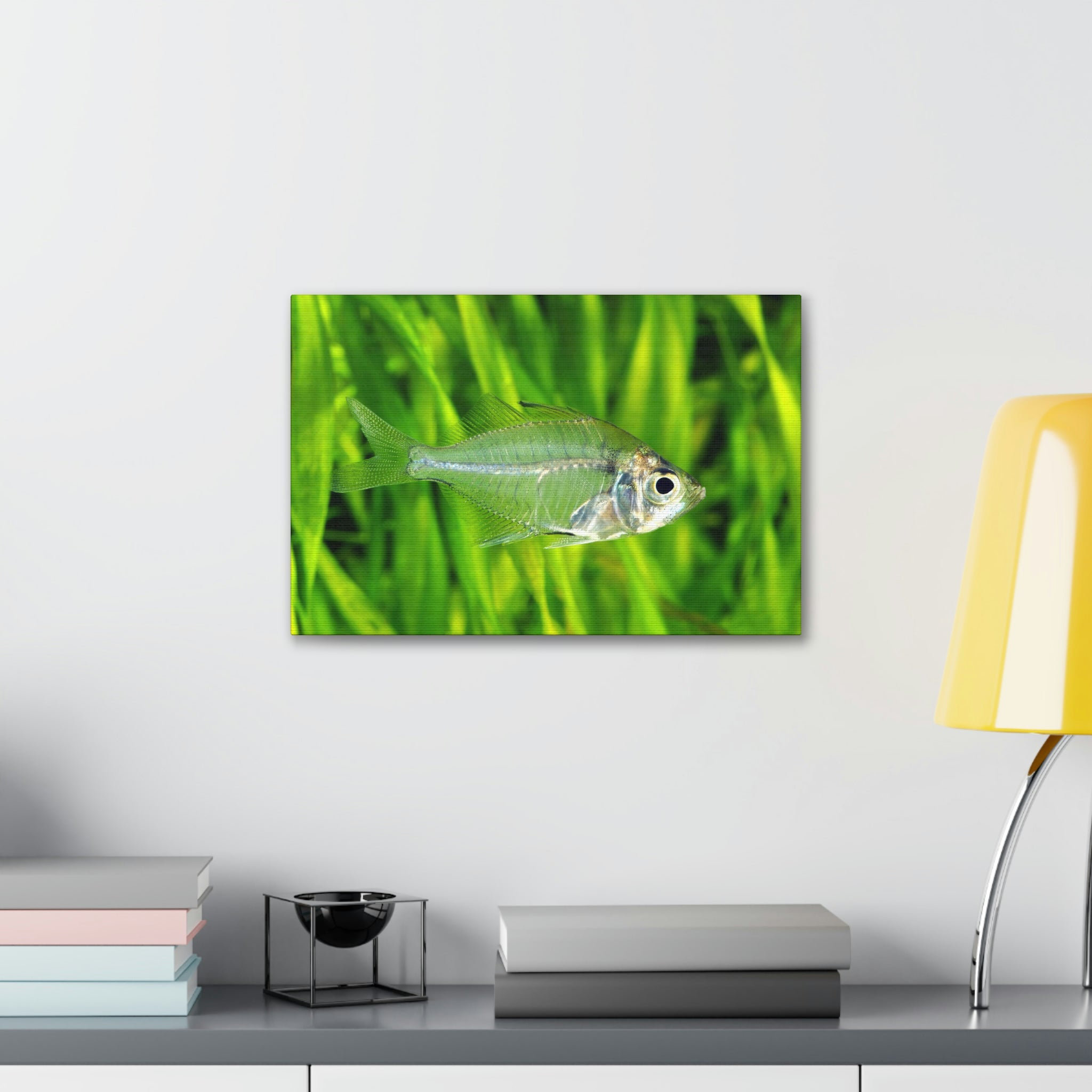 Highland Dunes Funny X-Ray Fish Silly X-Ray Fish Scene Outside Wall Art ...