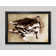 Bright Star Bull Stare - Single Picture Frame Art Prints | Wayfair.co.uk