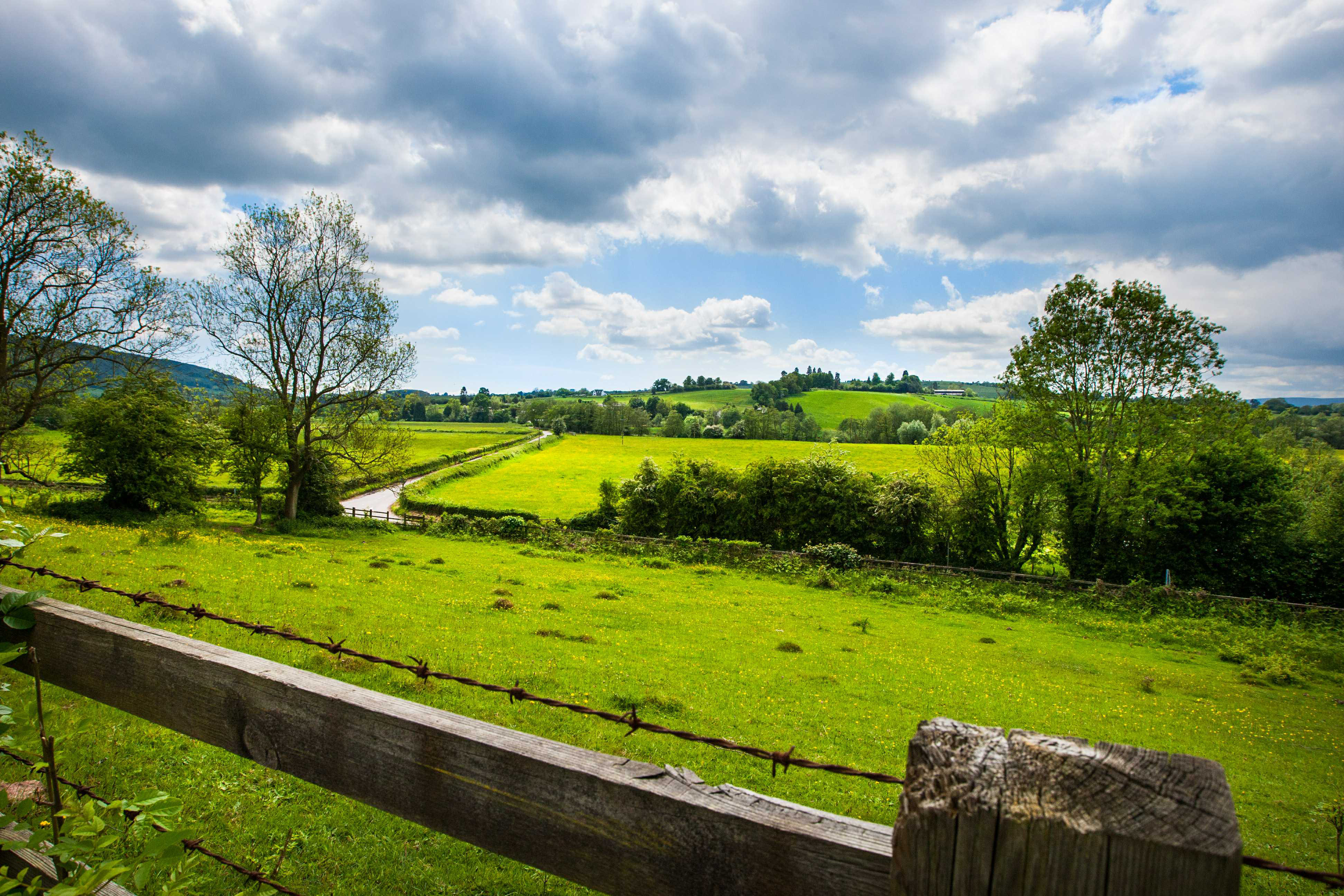 Ebern Designs Welsh Countryside by Tyrrbrown - Wrapped Canvas ...