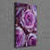 Ebern Designs Purple Roses - Wrapped Canvas Art Prints | Wayfair.co.uk