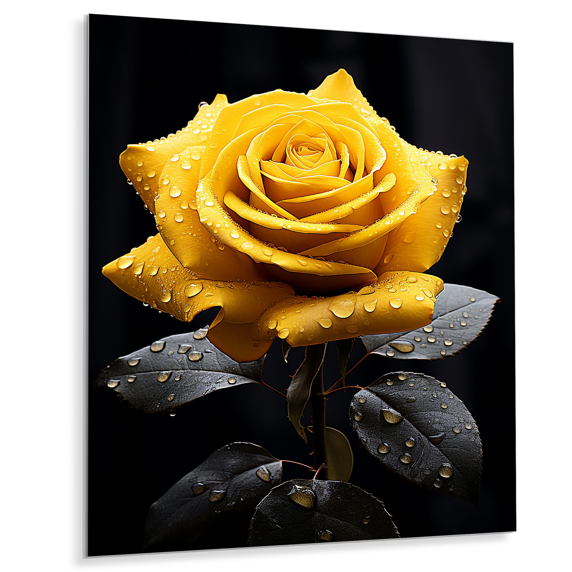 Bungalow Rose Yellow Black Rose Elegance III - Floral Metal Wall Art ...
