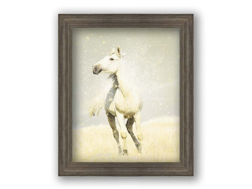 One Allium Way® Wild White Horse by Hal Halli. Paper Print - Mounted ...