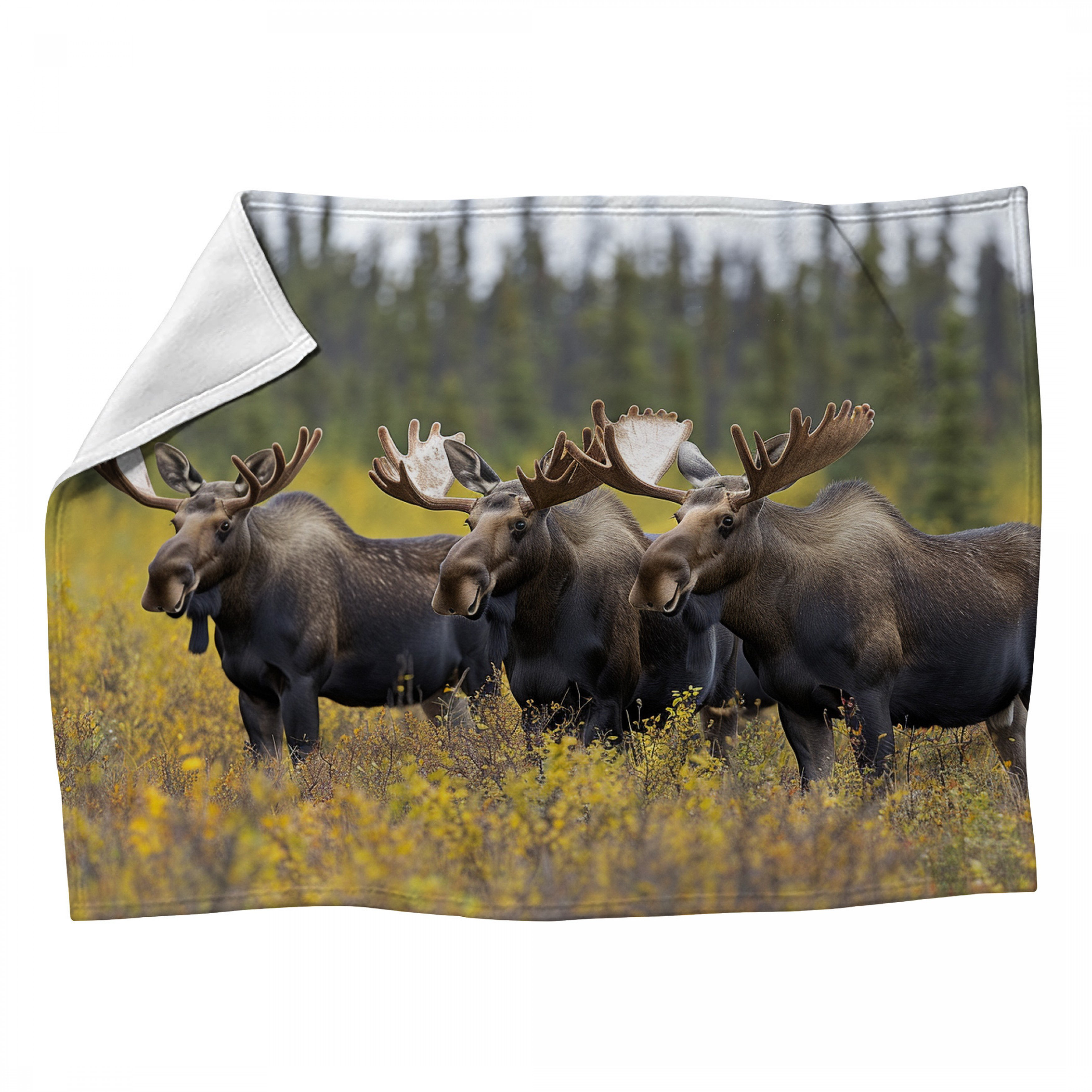 VisionDecor Moose Fleece Throw Blanket - Wildlife Throws for Sofas or ...