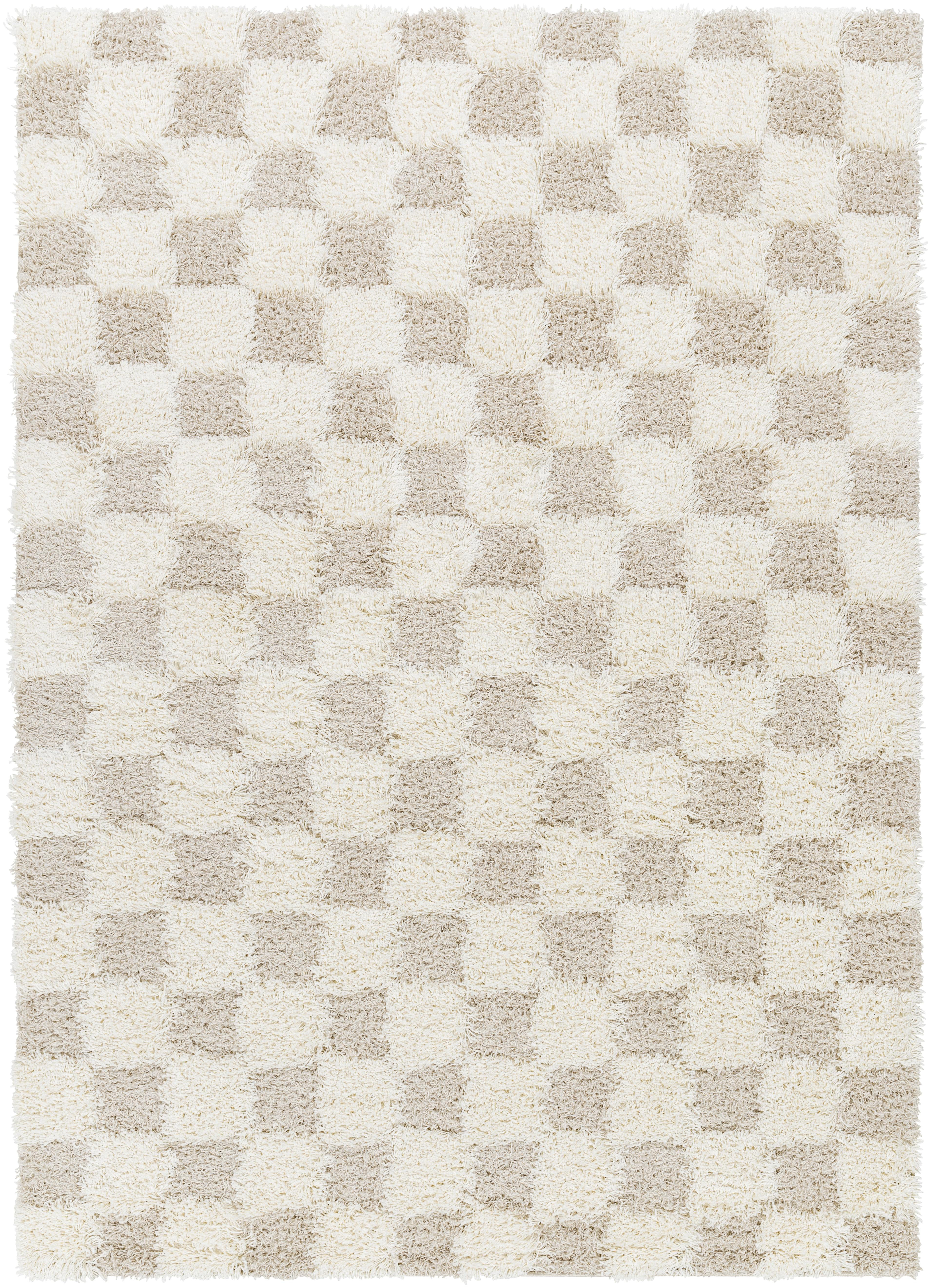 The Twillery Co.® Molly Checkered Indoor Rug & Reviews | Wayfair